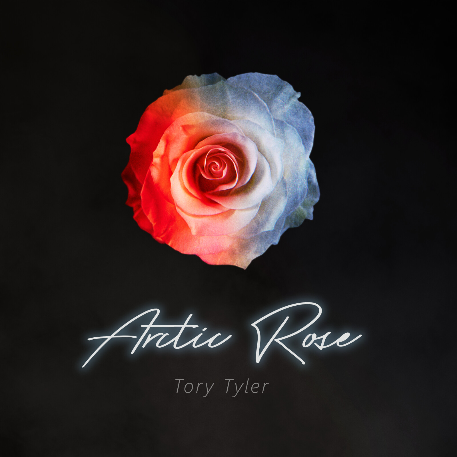 ArtStation - Arctic Rose Cover