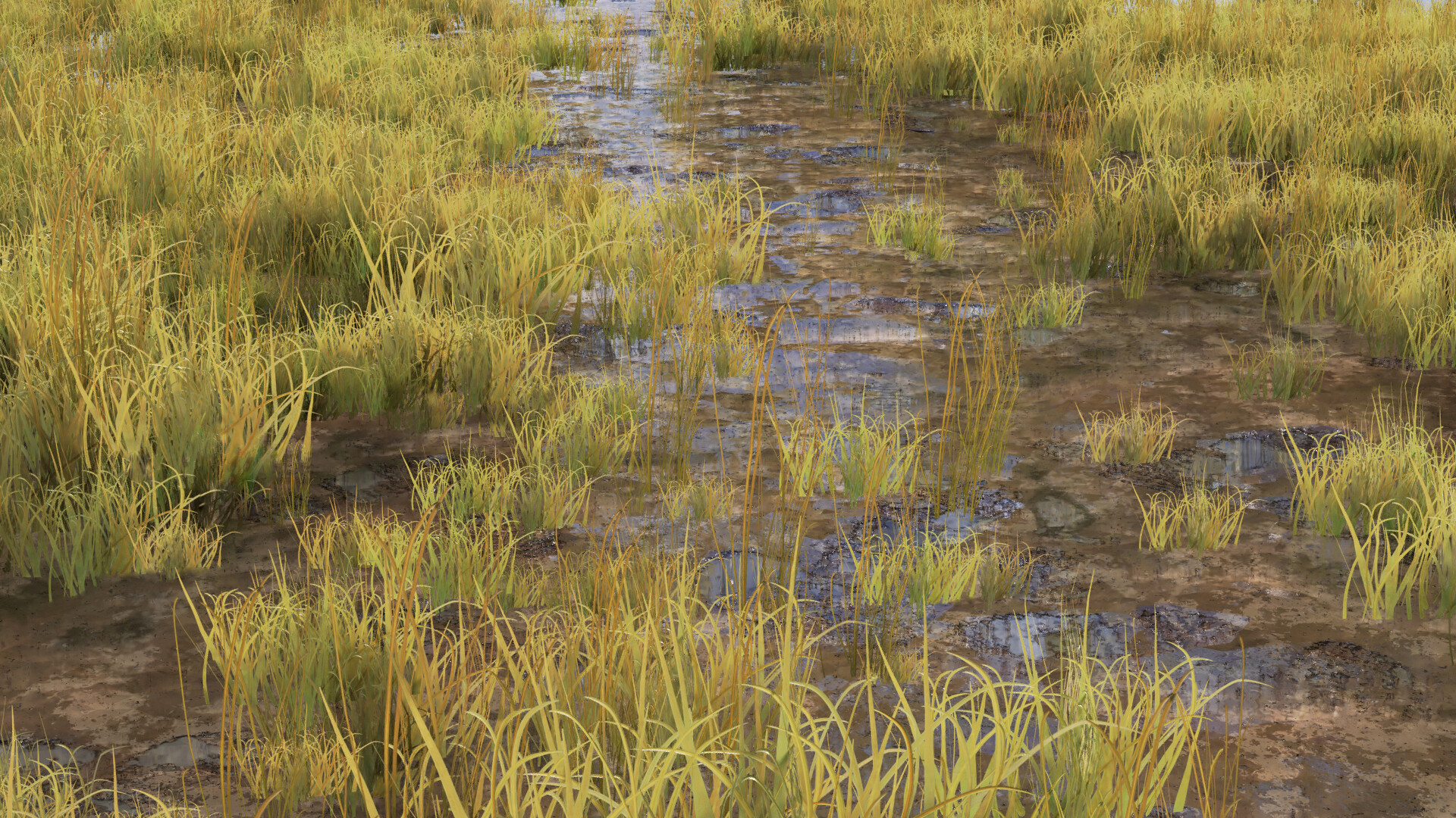 Texturecan Long Grass Texture