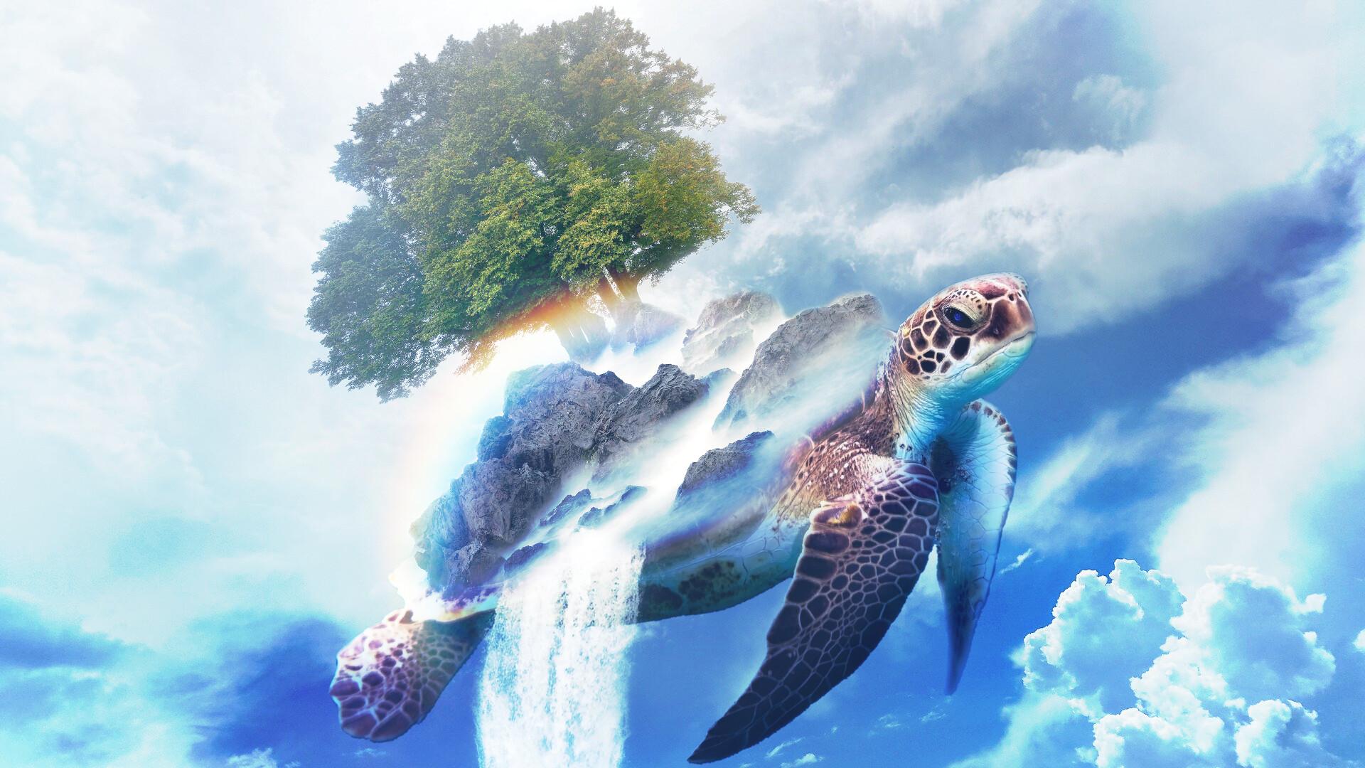 ArtStation - Flying World Turtle