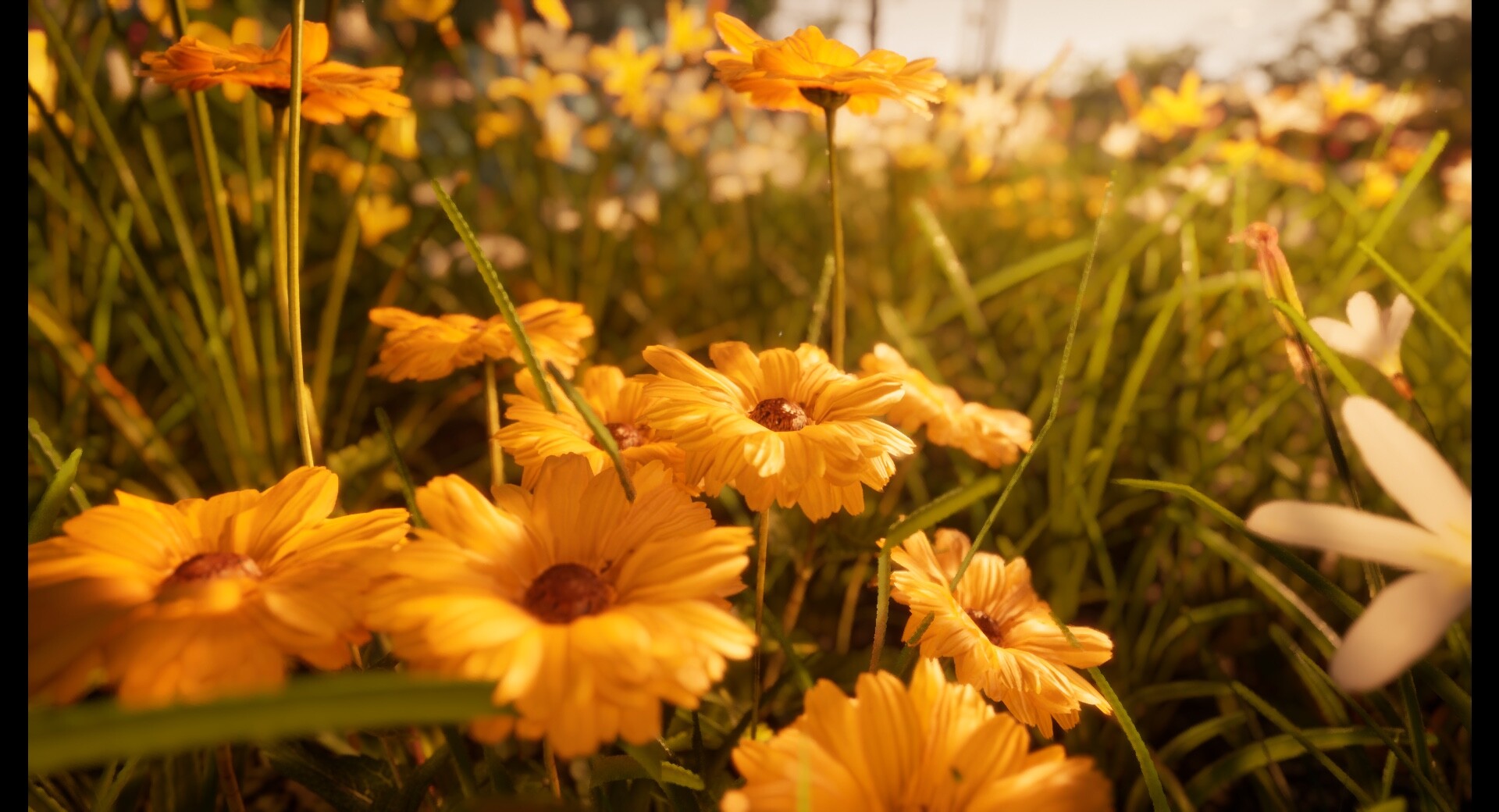 ArtStation - Afternoon sun