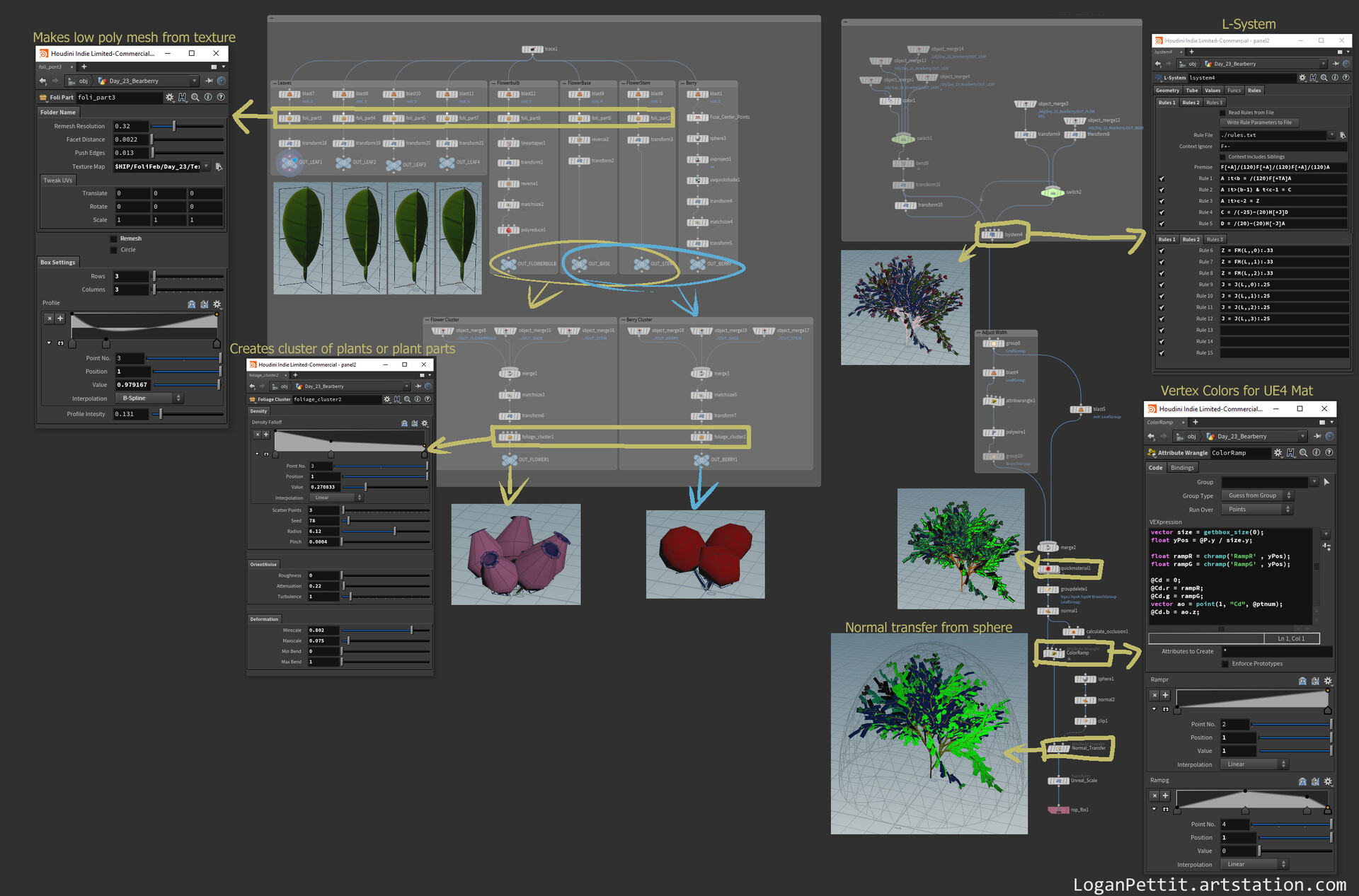 Logan Pettit - Foliage February