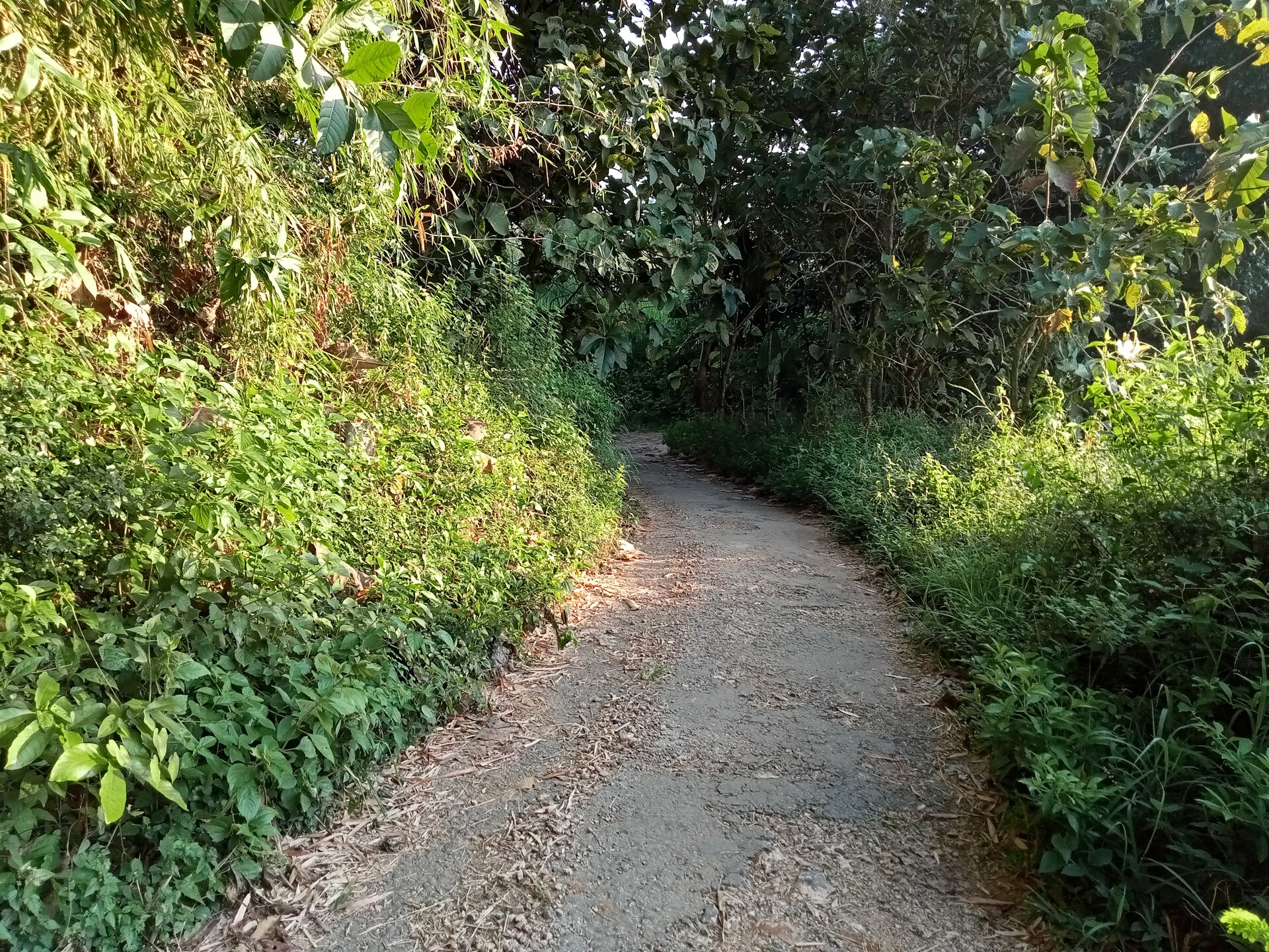 ArtStation - Jalan Kecil di Perbukitan Yang Begitu Indah