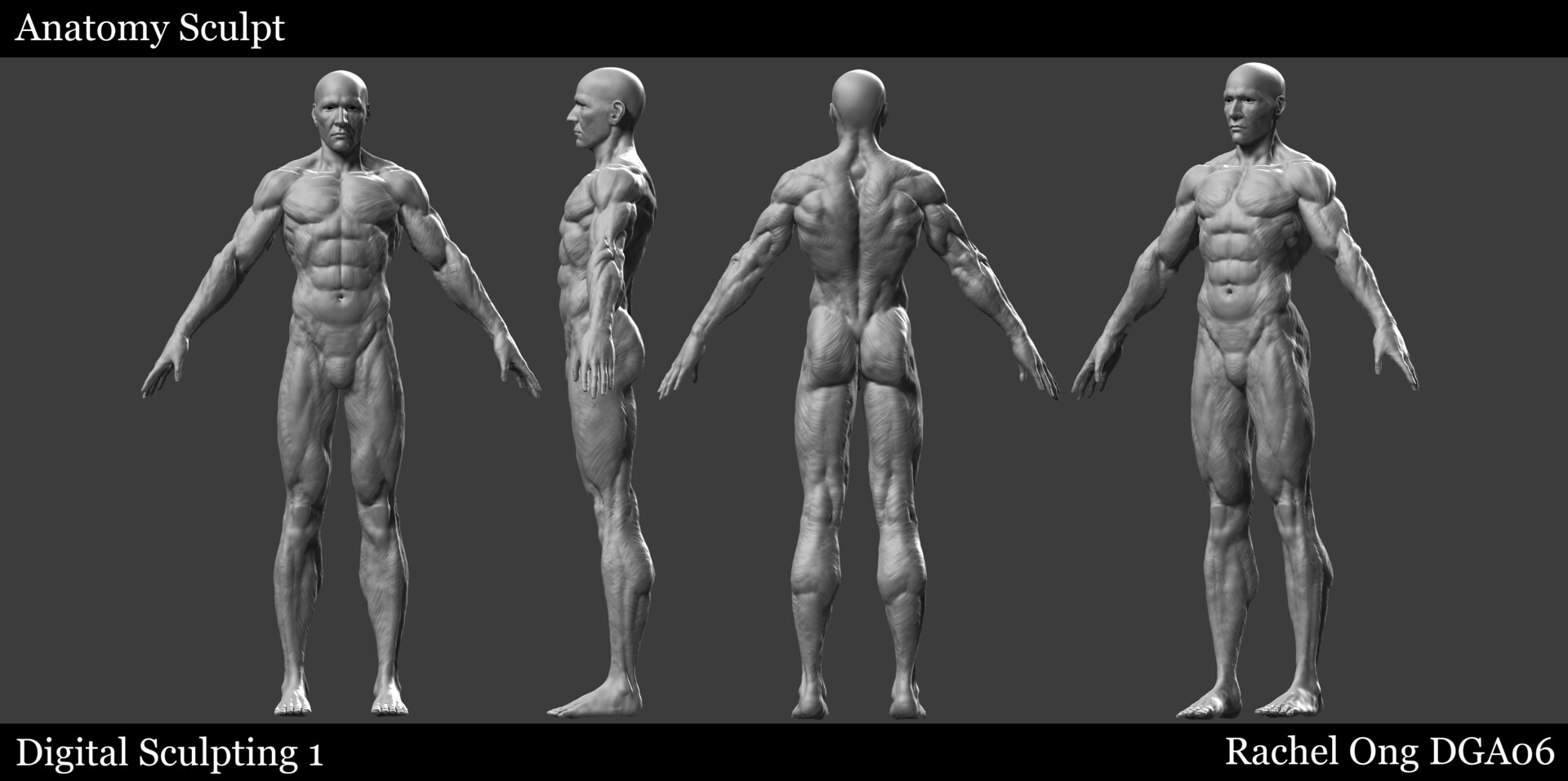 ArtStation - Anatomy Study