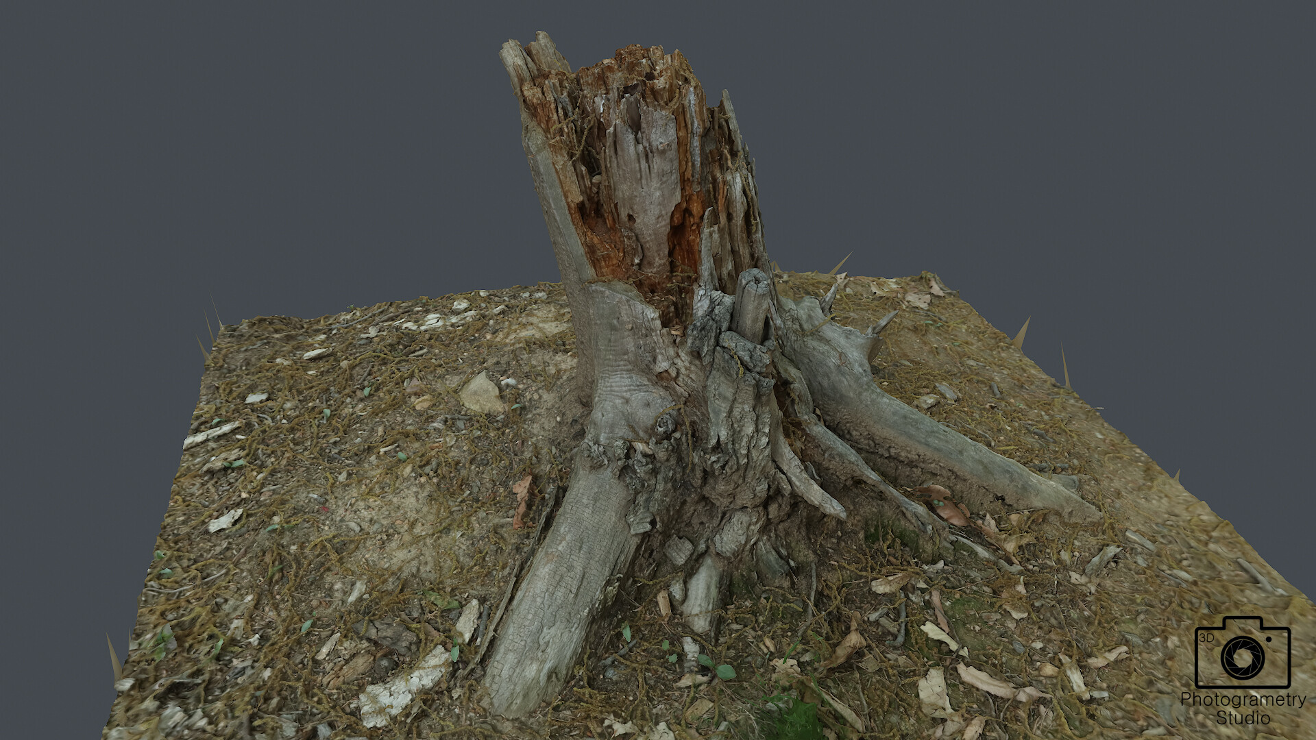 ArtStation - Broken tree_0002(Photogrametry.Photoscan.obj,Photo)