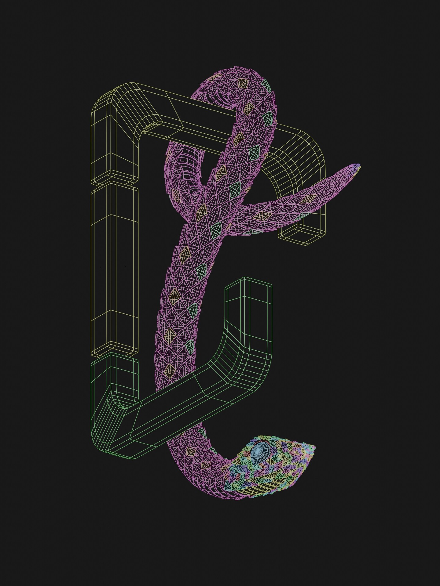 Matías Gárate - Impossible Figure with Whip Snake