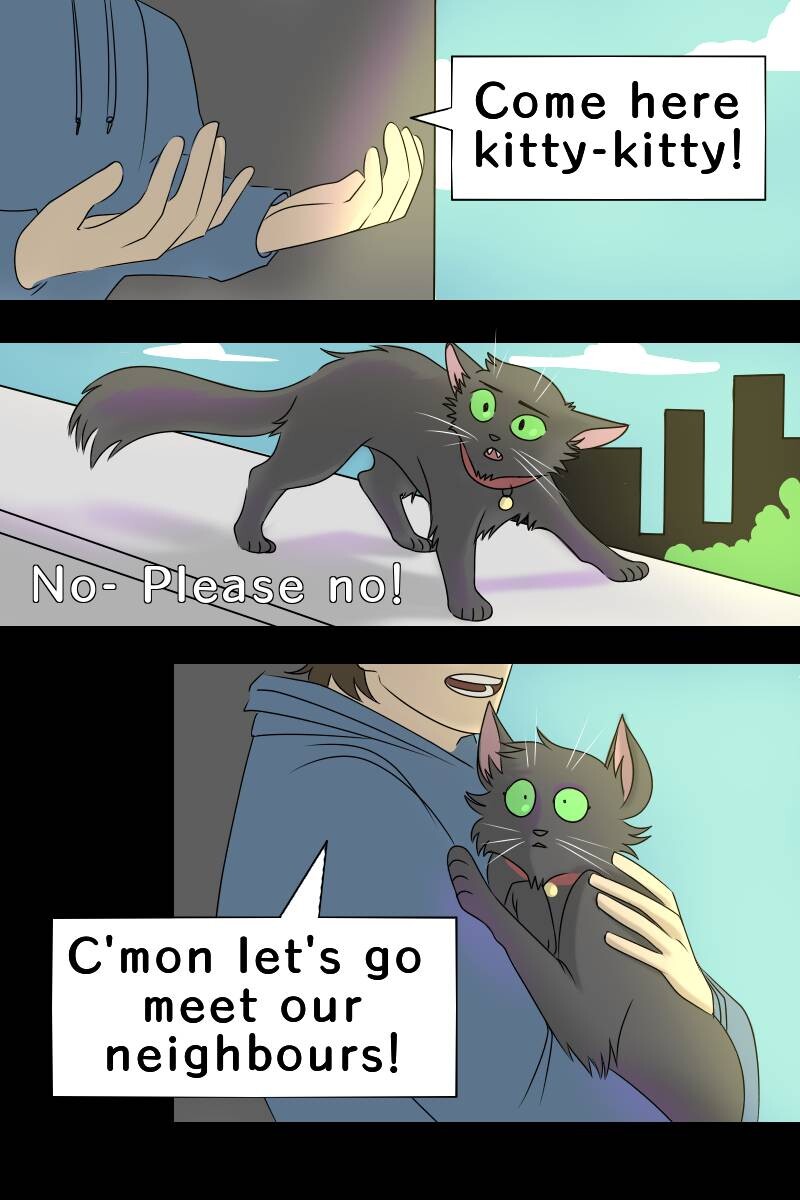 Dog And Cat Comic