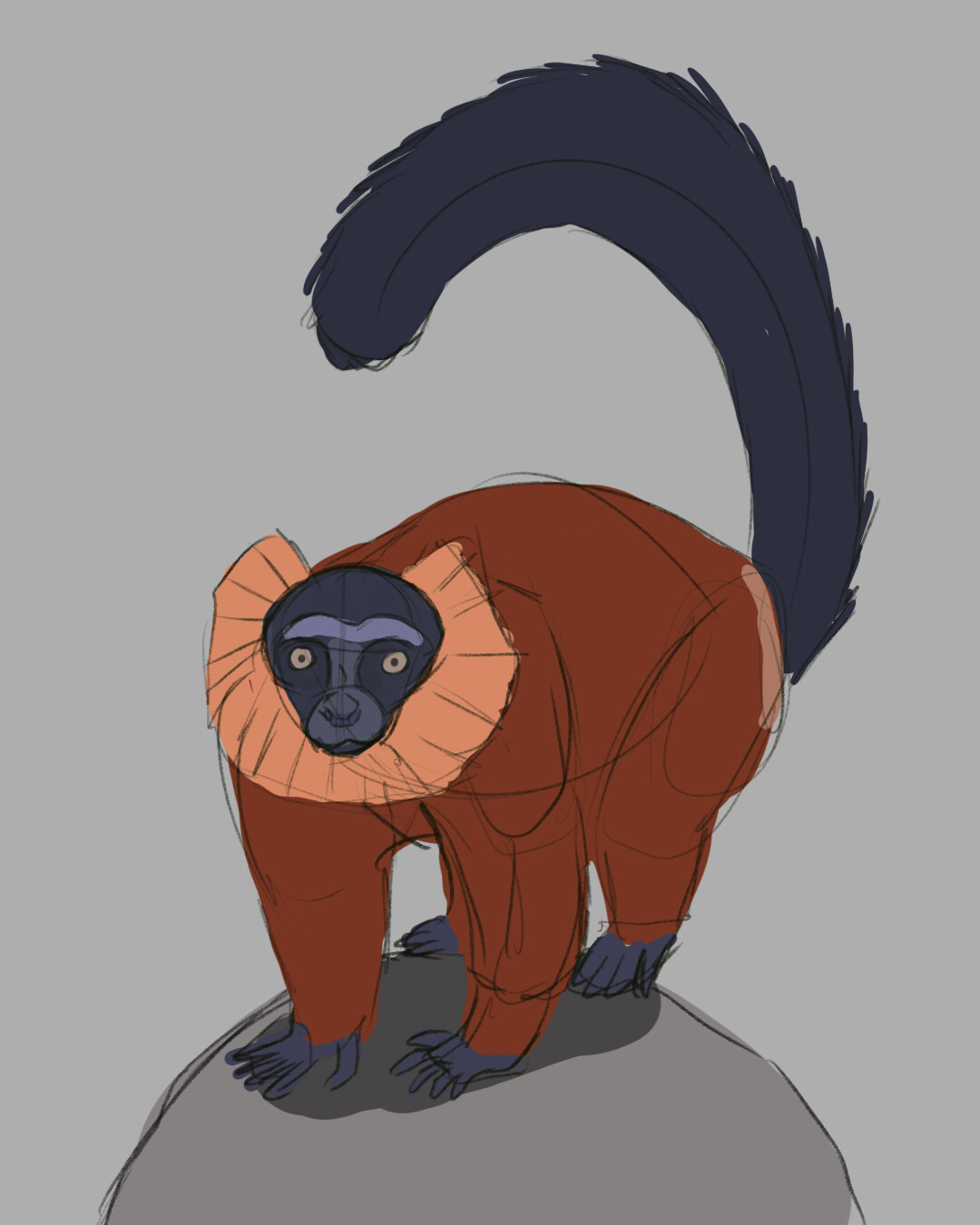 René Westerveld - Aperil day 28: Red ruffed lemur