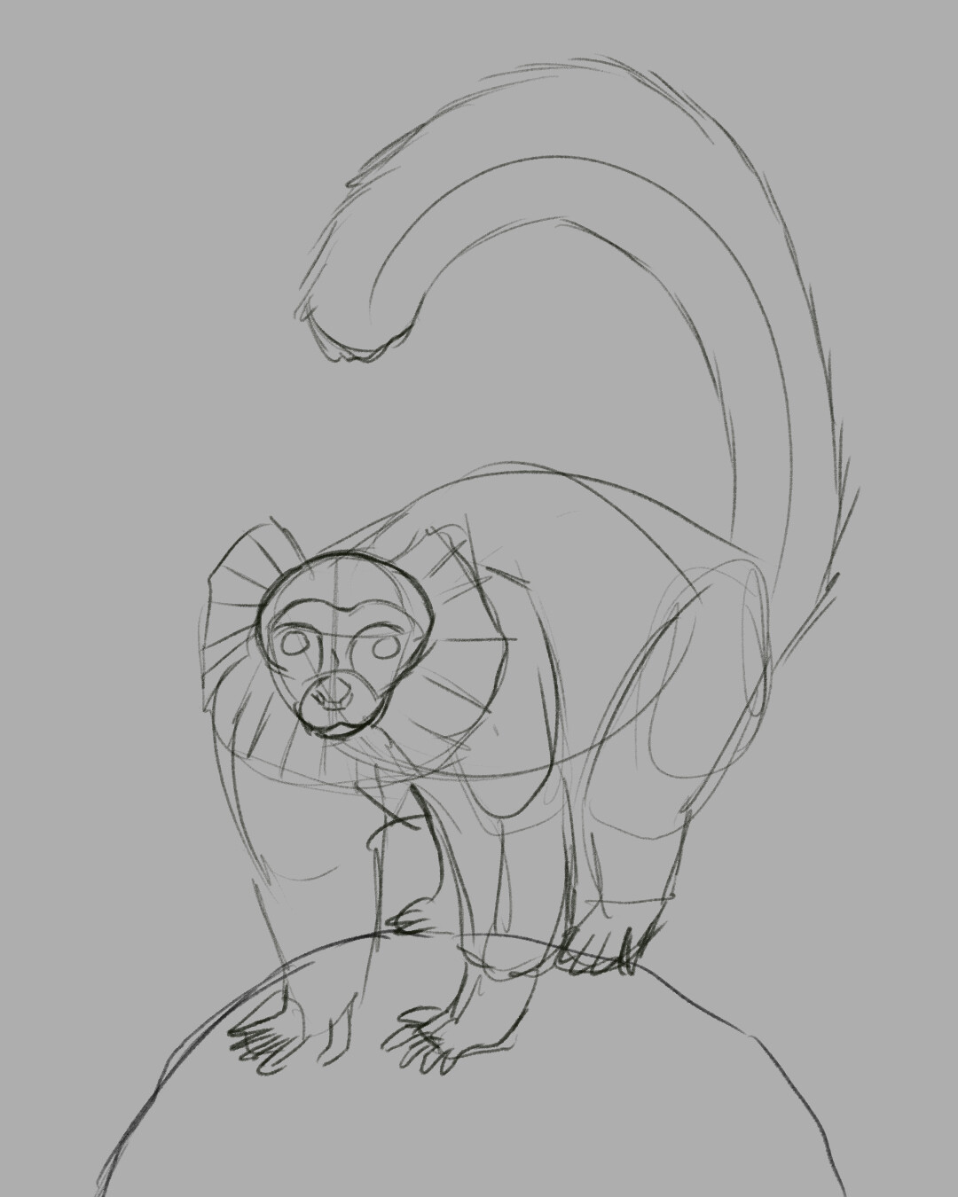 René Westerveld - Aperil day 28: Red ruffed lemur