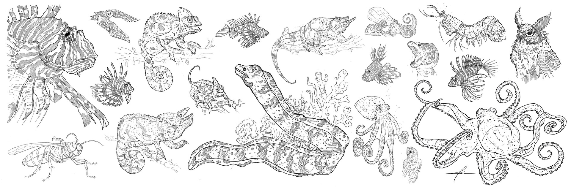 ArtStation - Traditional Sketches