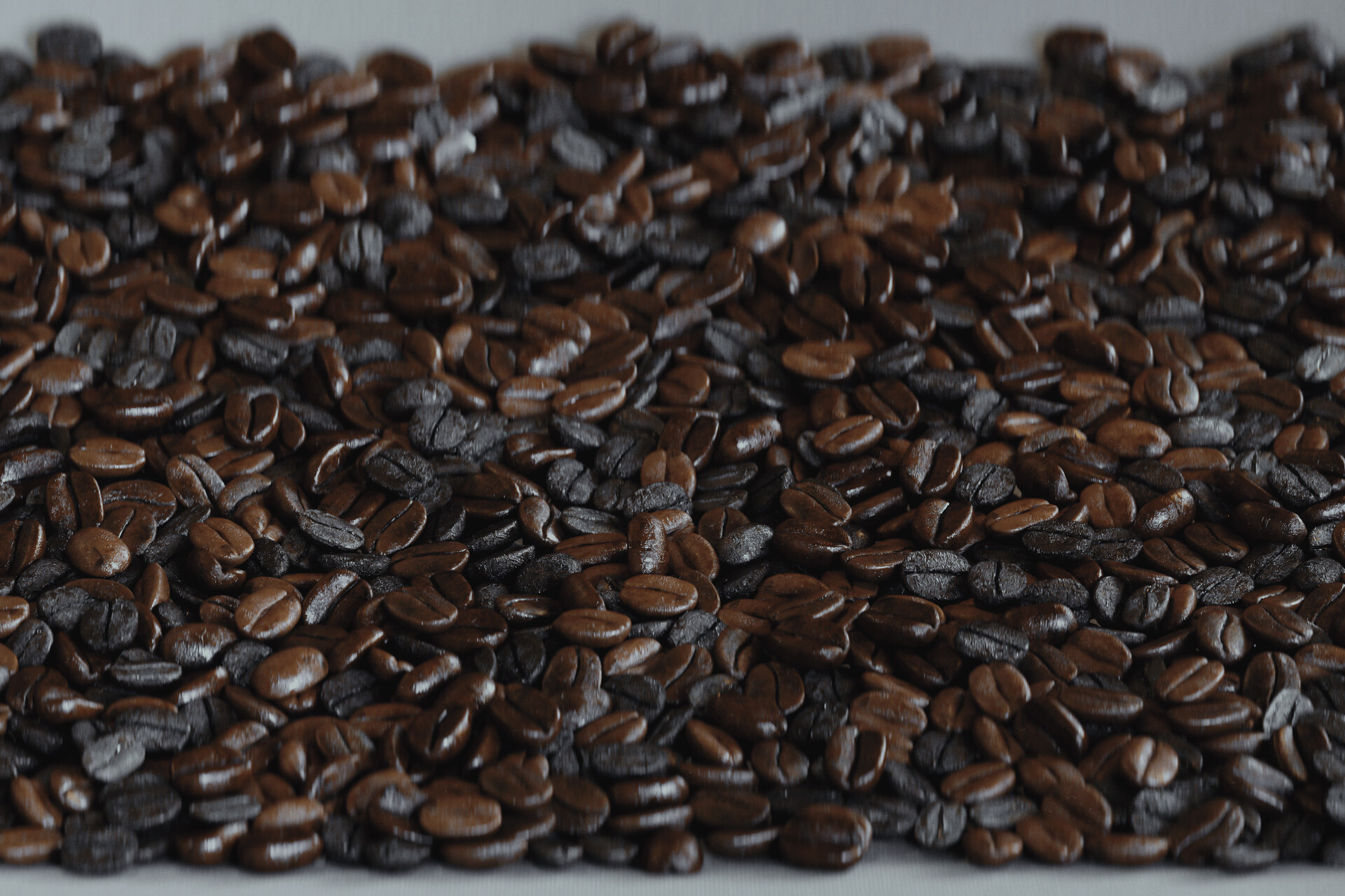 ArtStation - Photorealism Study: coffee beans