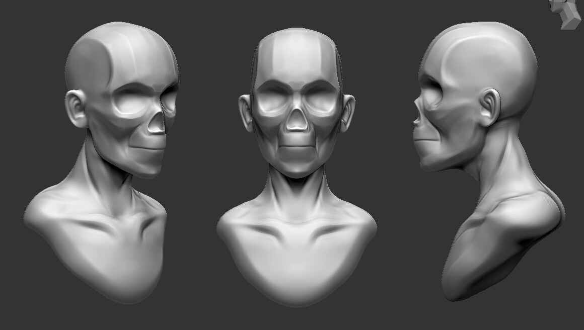 ArtStation - Base Skull Mesh