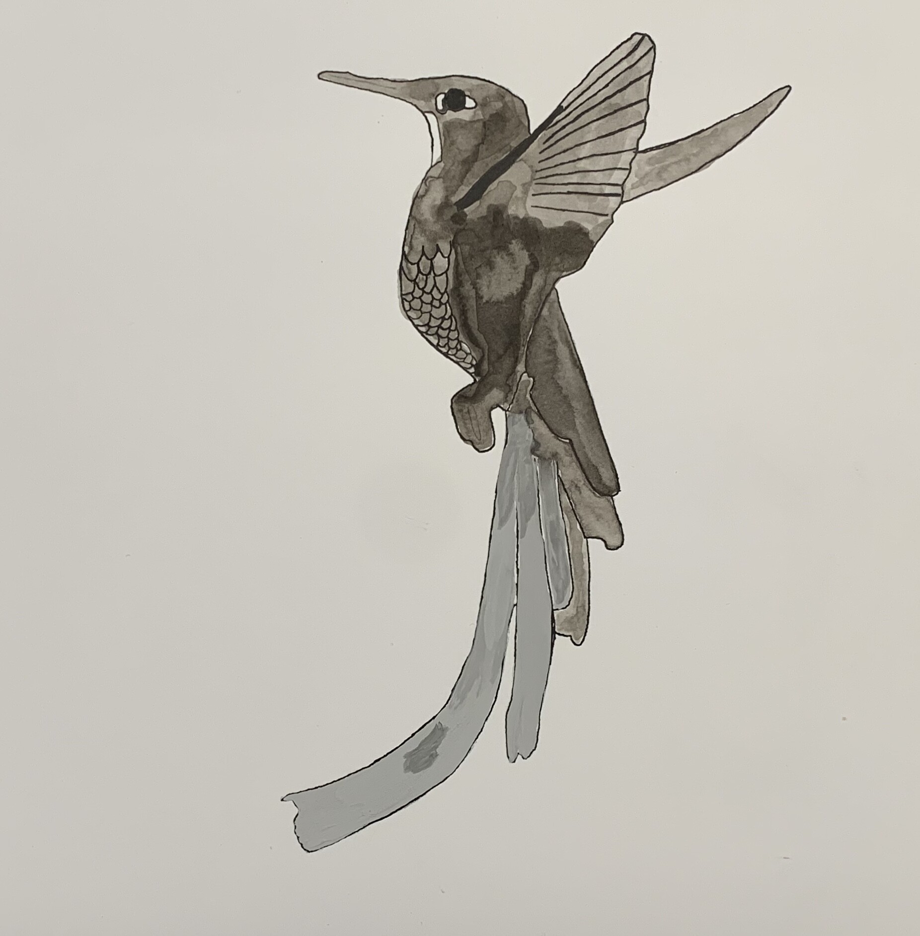 ArtStation - Ink bird