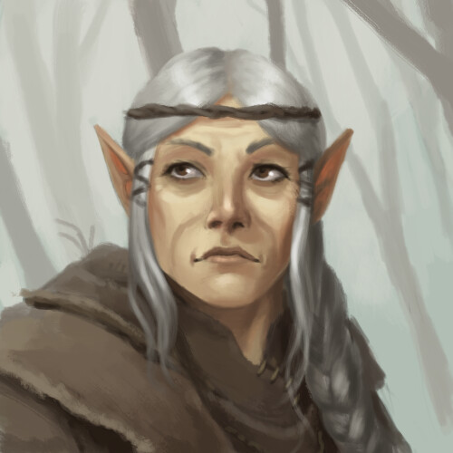 Joshua Hardie - D&D - Token Portraits, campaign 1