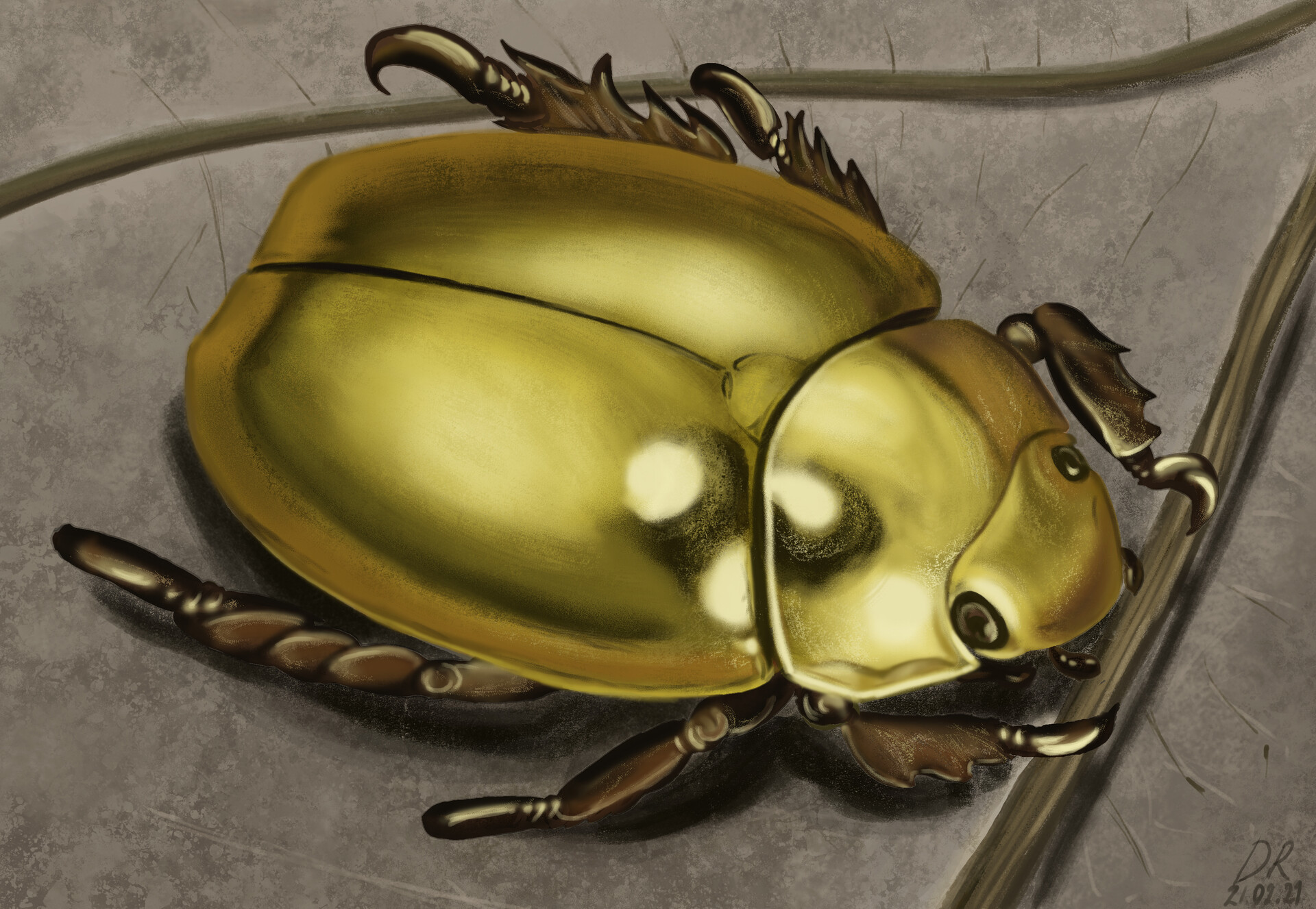 ArtStation - Study from reference of a Golden beetle