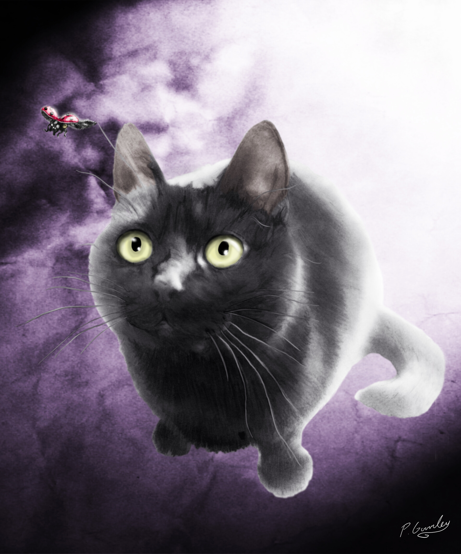 ArtStation - Goya the Cat