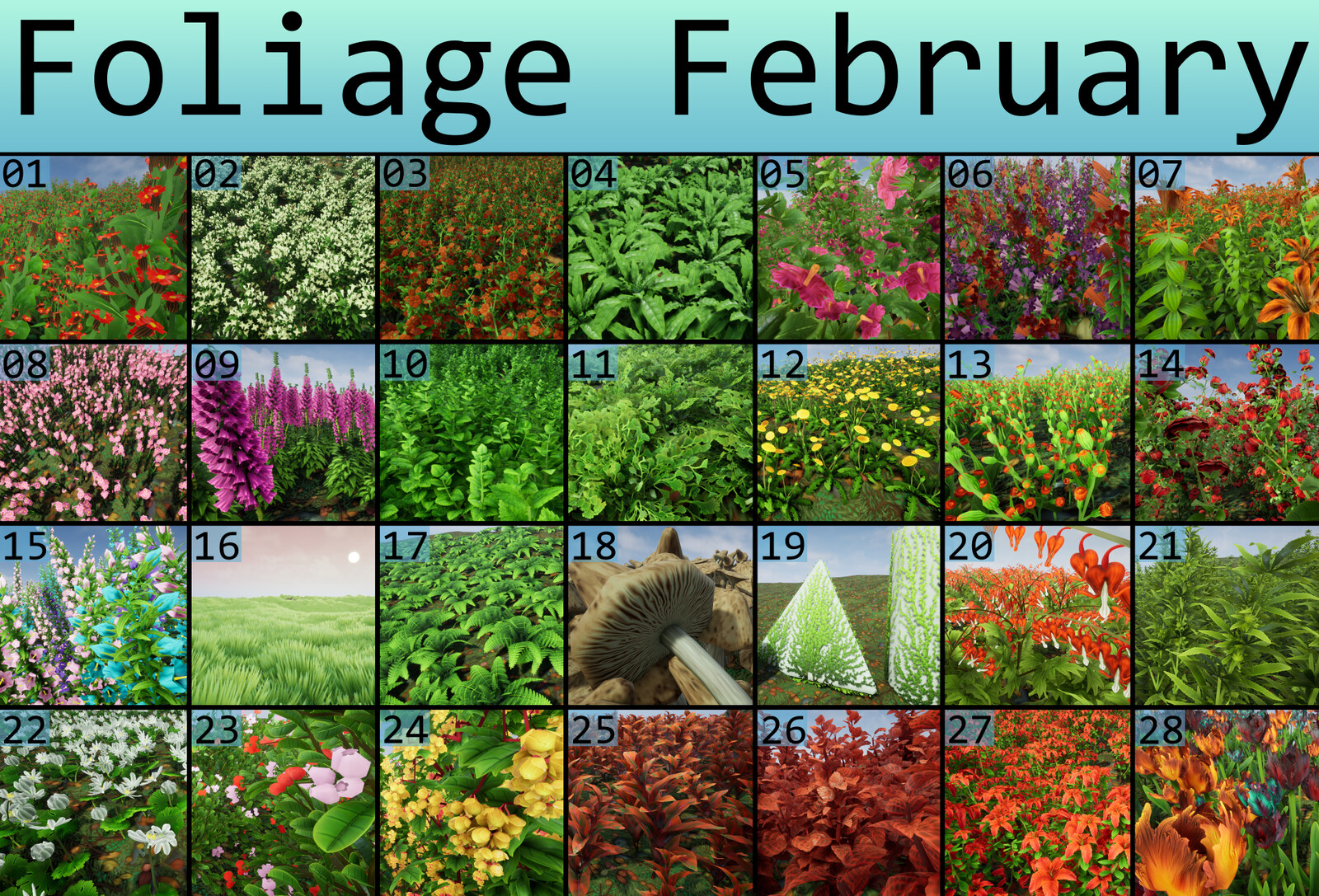 Logan Pettit - Foliage February