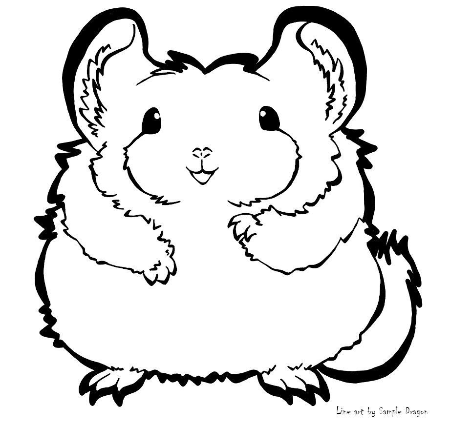 chinchilla coloring pages