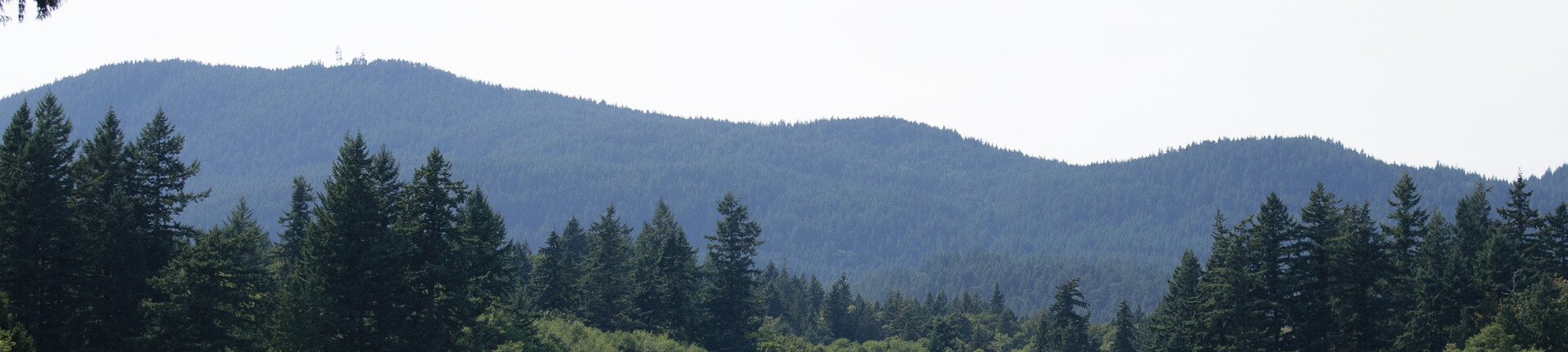 Lasma Zeimule - MattePaint Course Practice 1