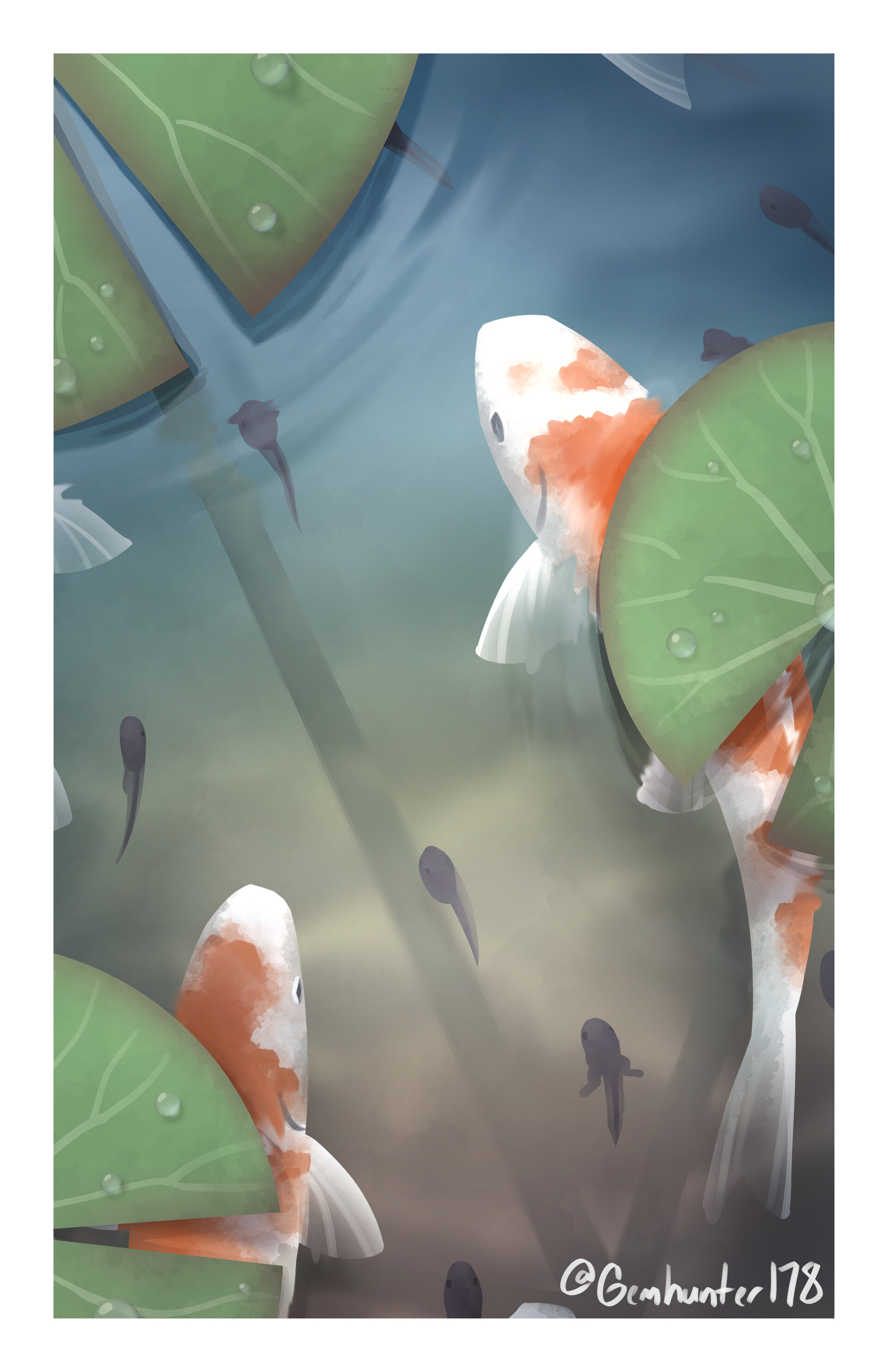 draw koi fish pond
