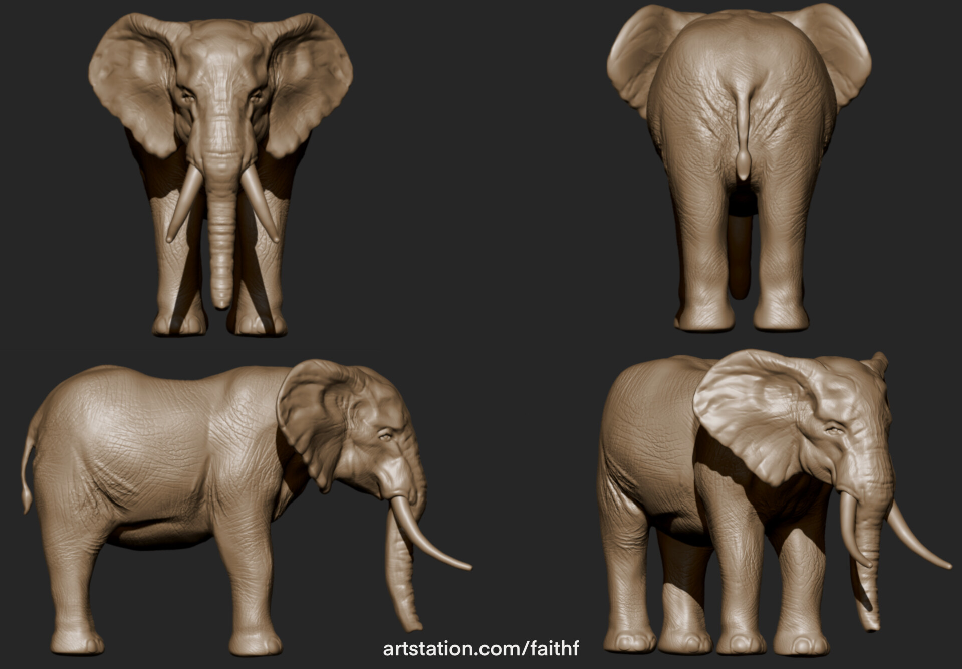 ArtStation - Zbrush Elephant