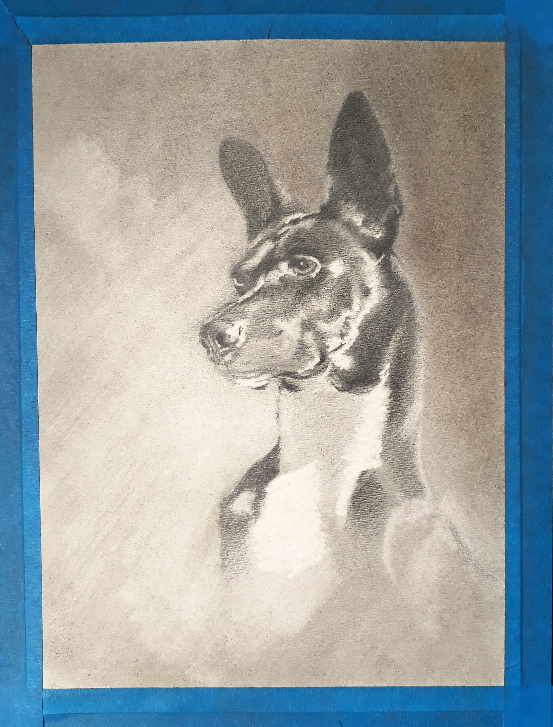 ArtStation - Pencil Dog Study