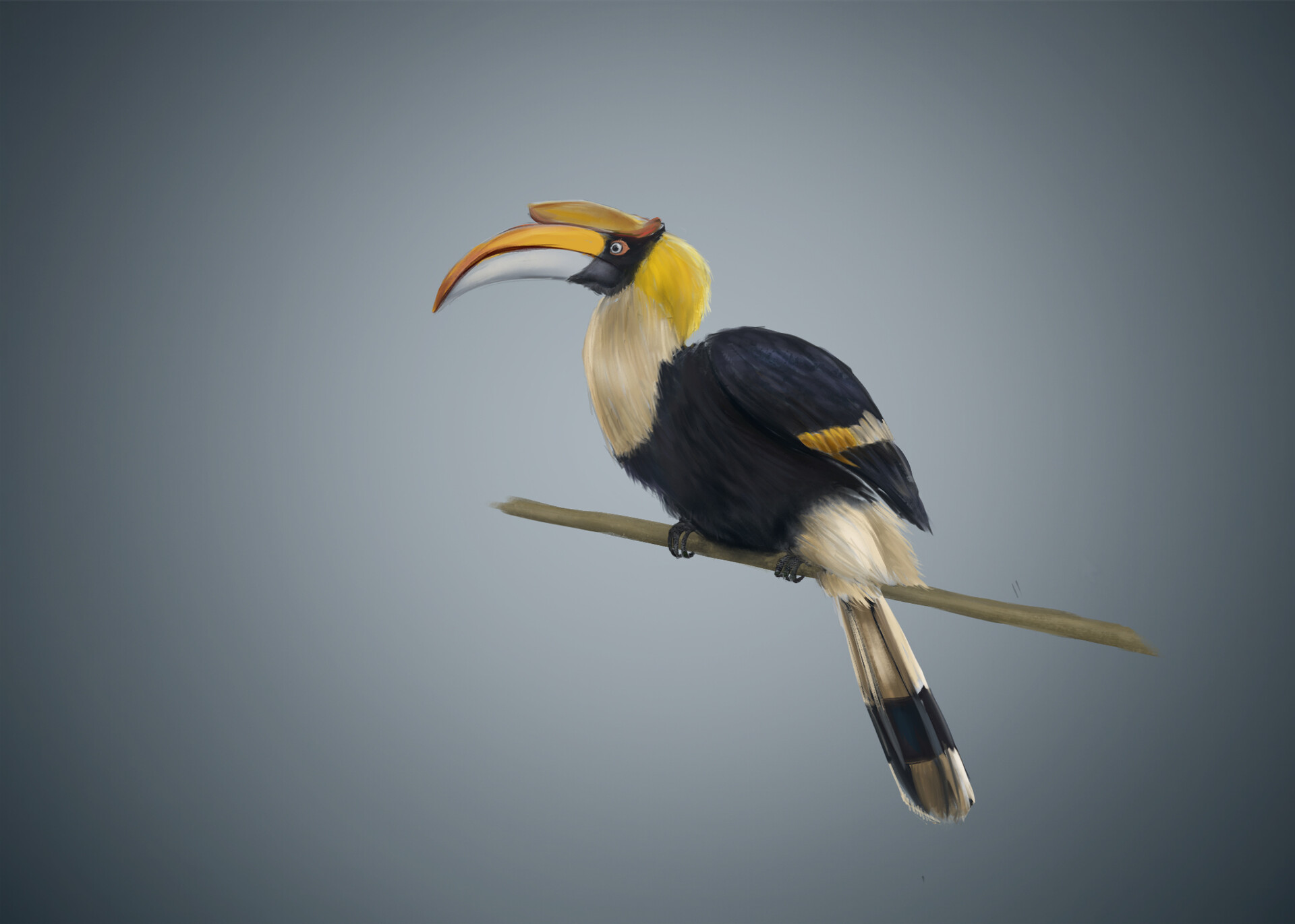 ArtStation - Tropical Bird Concept