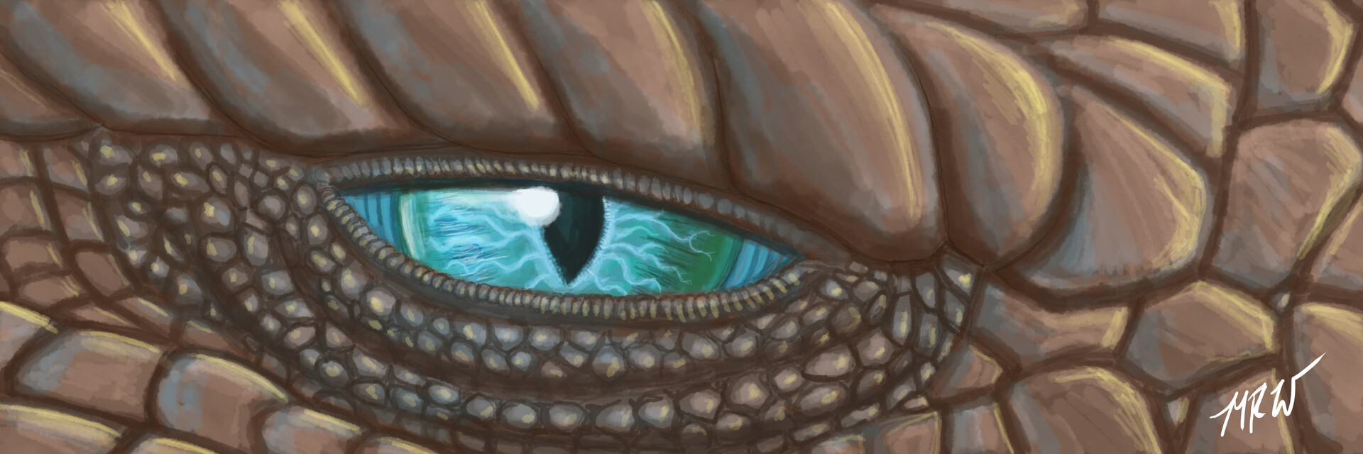 how to draw a dragon eye close up