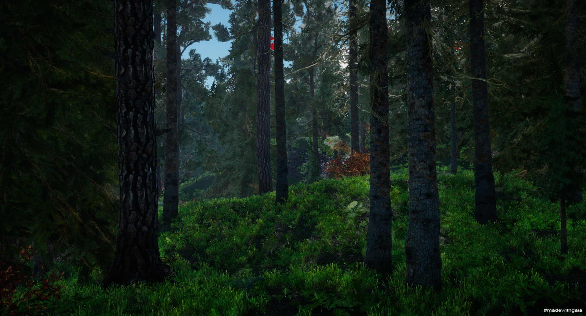 ArtStation - Unity HDRP (Forest)