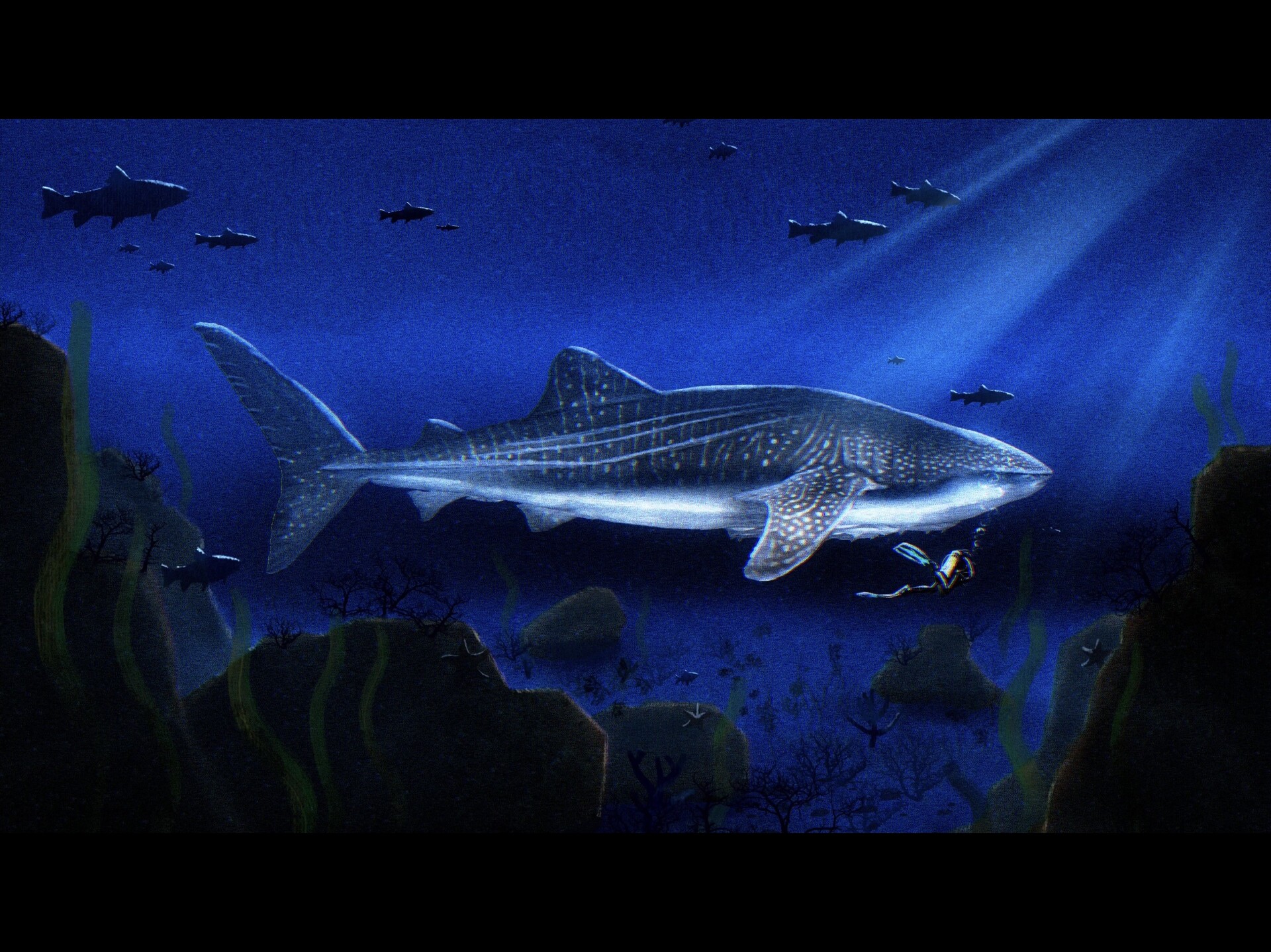 ArtStation - calming dive