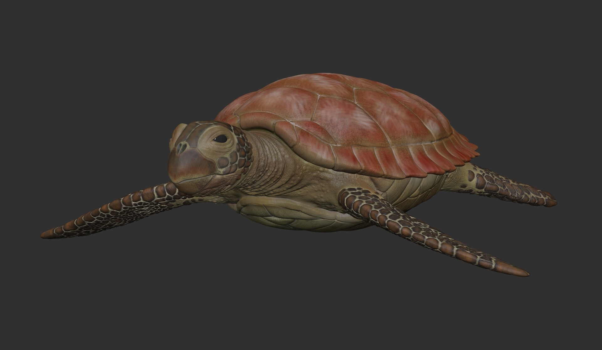 ArtStation - Green Sea Turtle