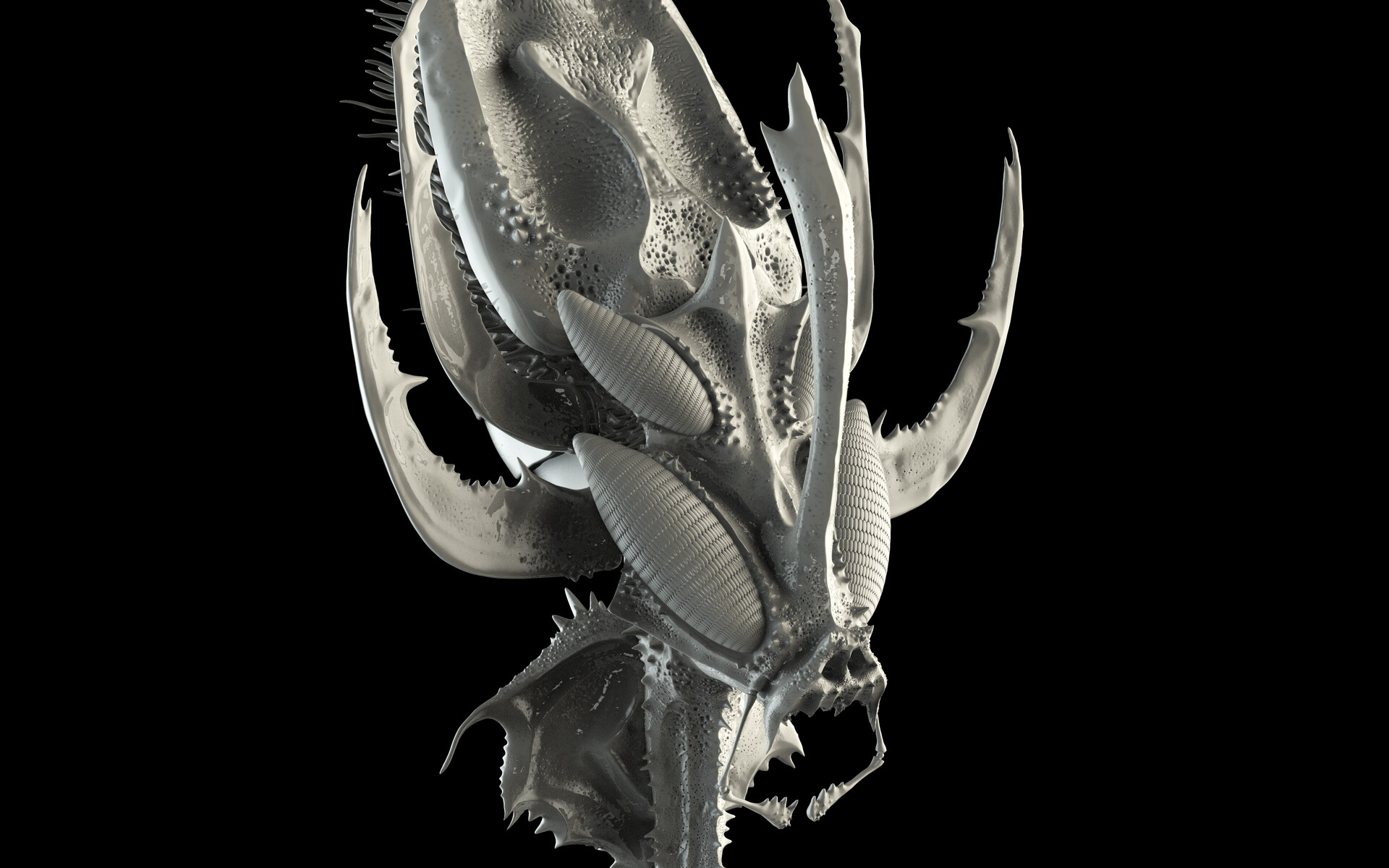 ArtStation - Alien Insect Race