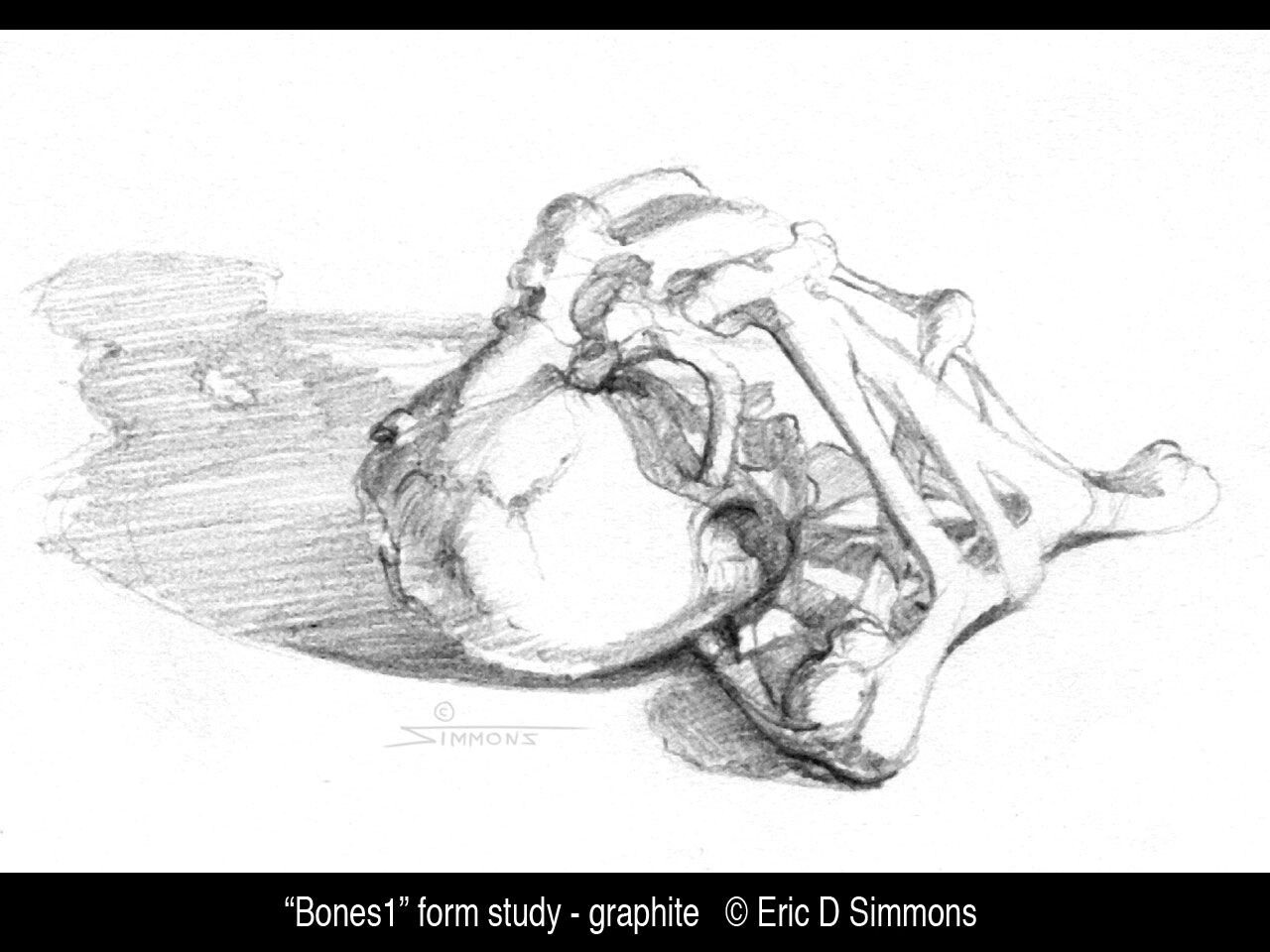 ArtStation - "Bones" - Form Study