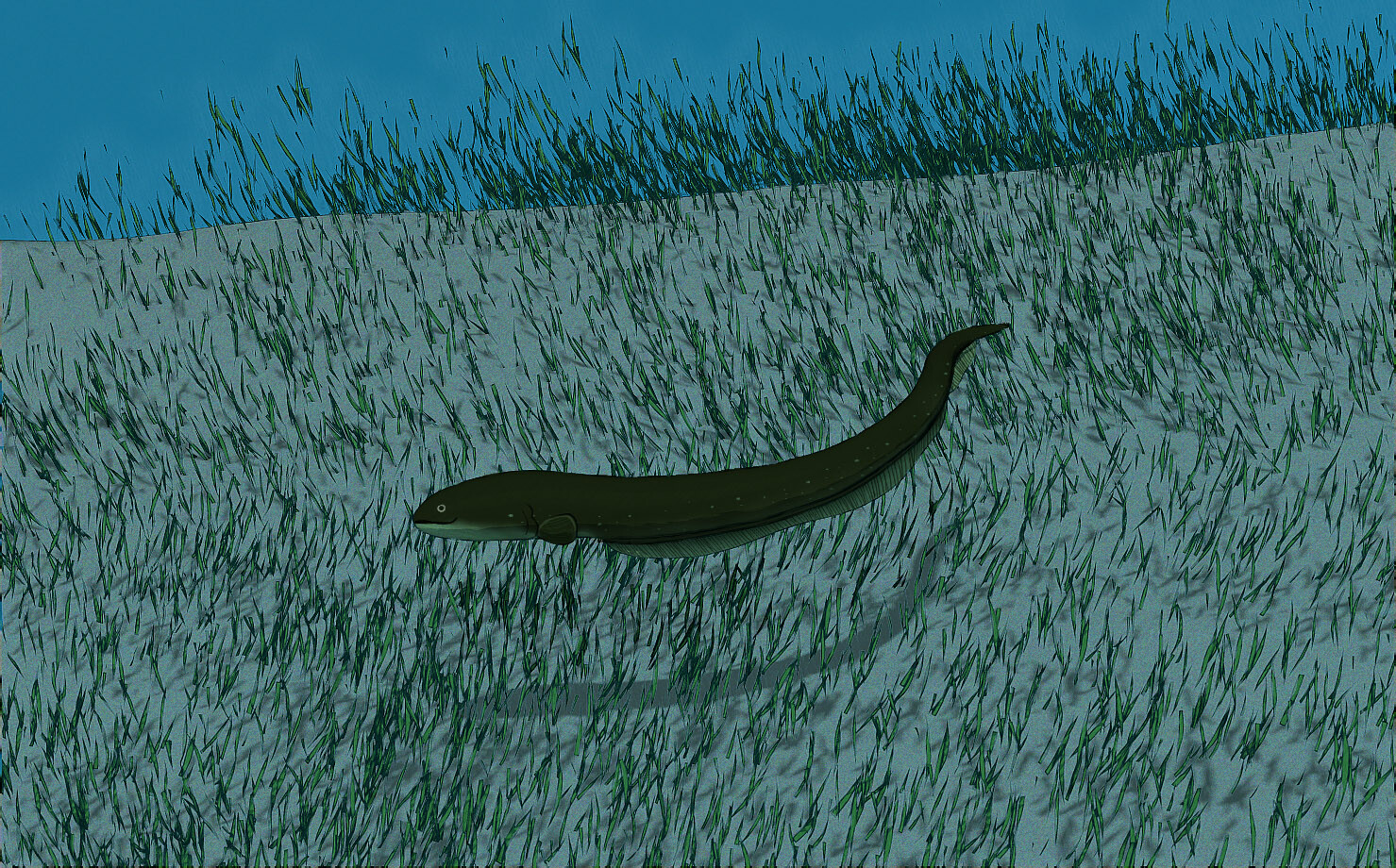 ArtStation - Mr. Eel