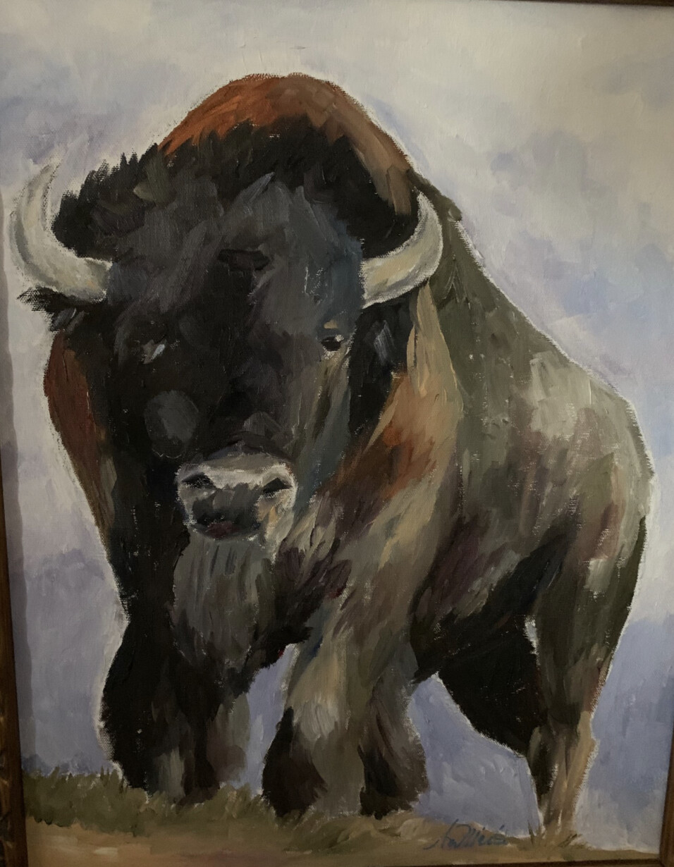 ArtStation - Roaming Buffalo