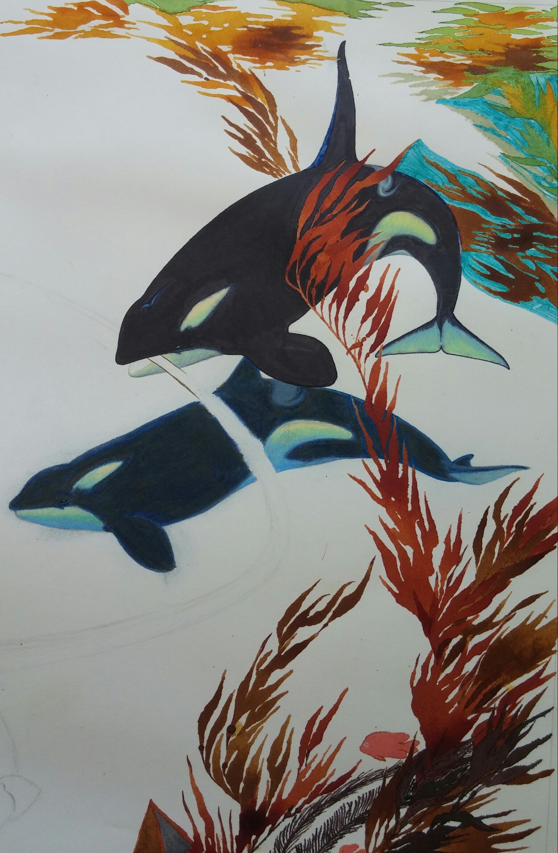 ArtStation - "Orca's Kelp Dance"