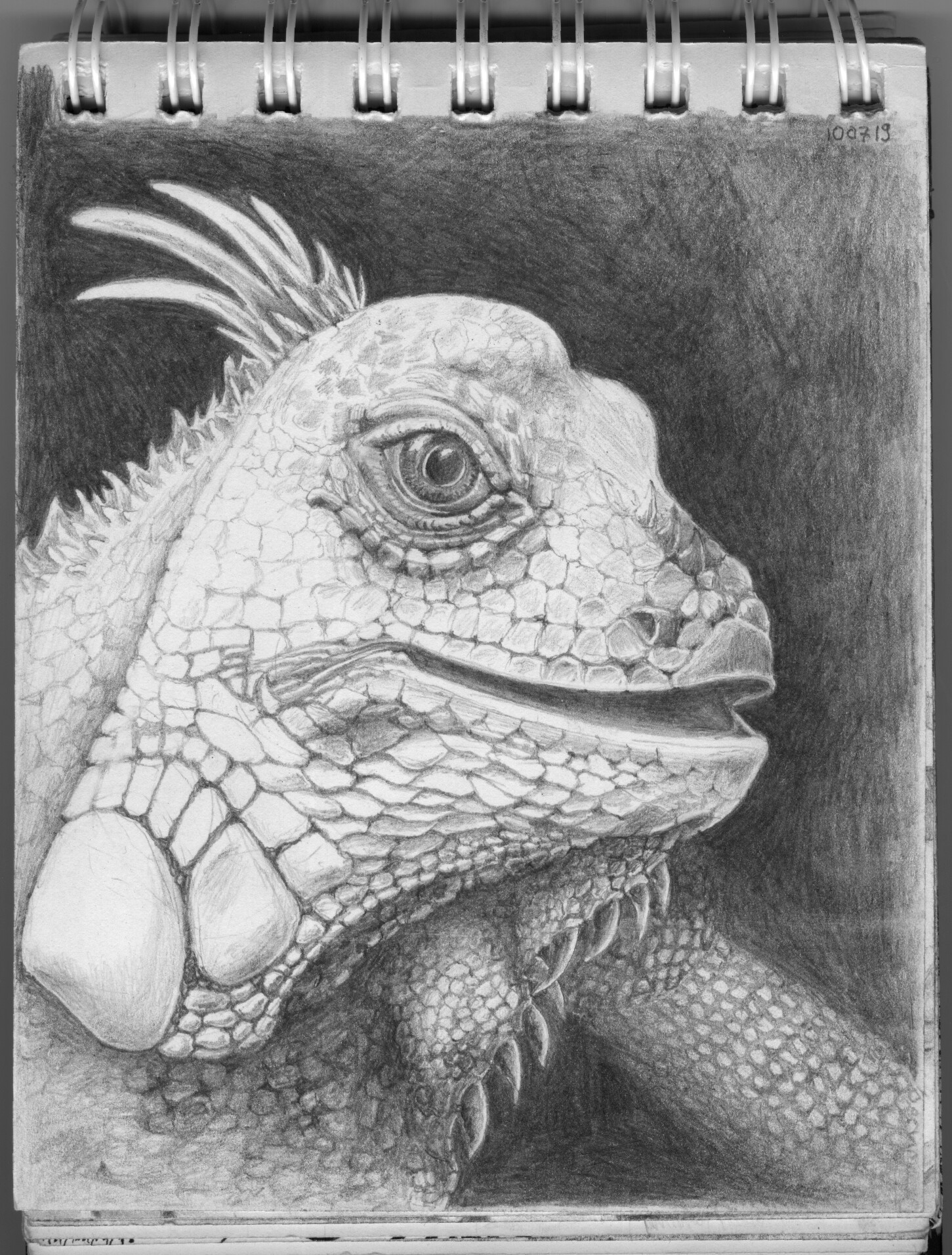 ArtStation - Reptile