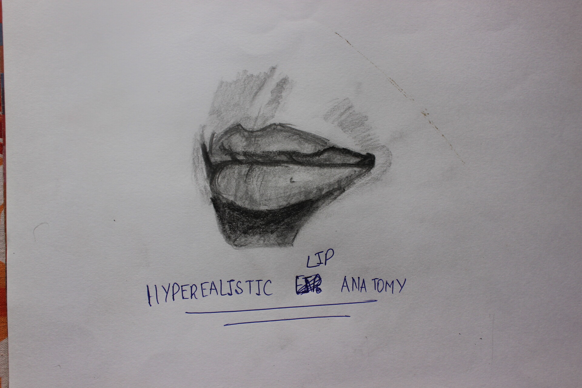 how to draw jins lips