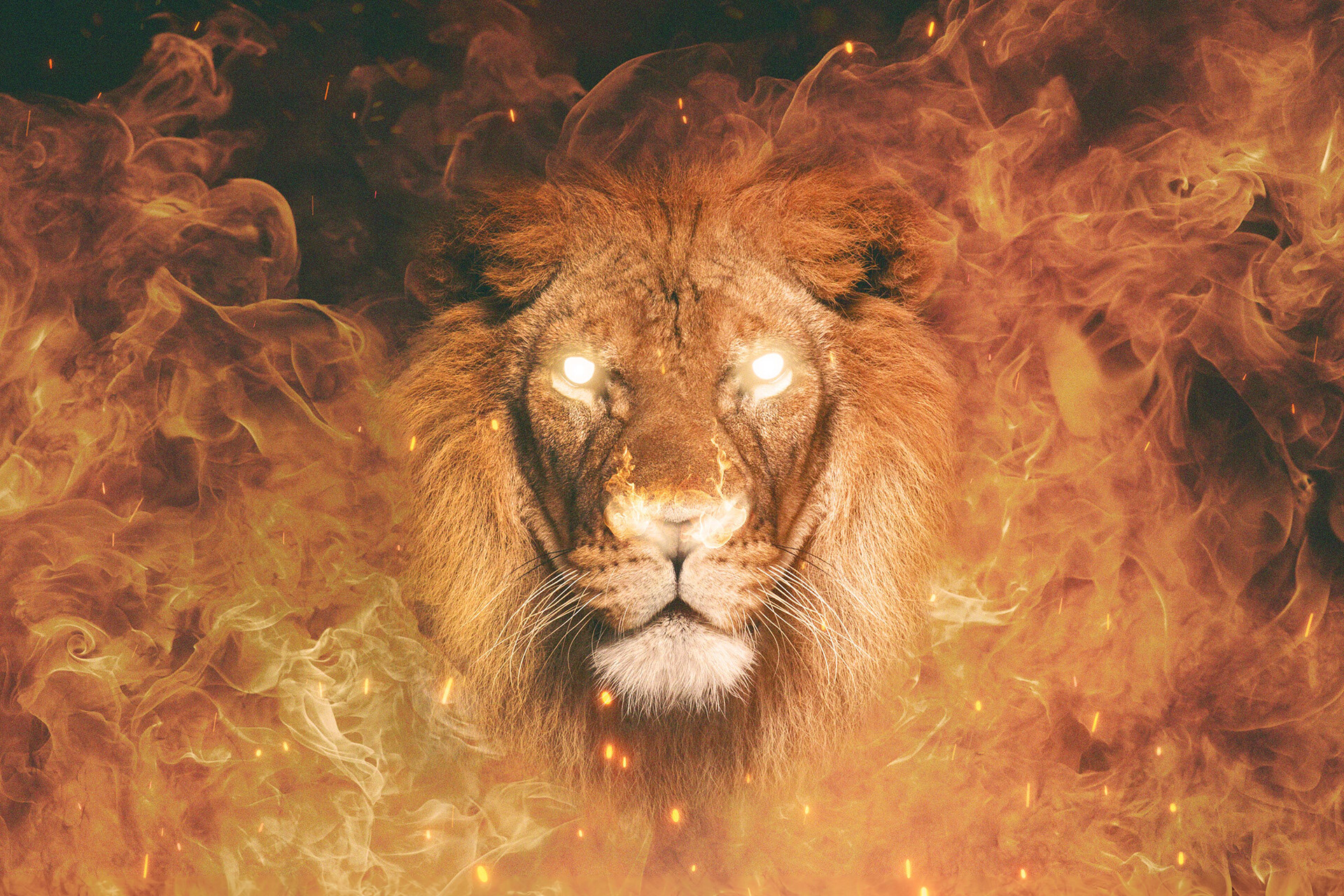 ArtStation - Elemental cats