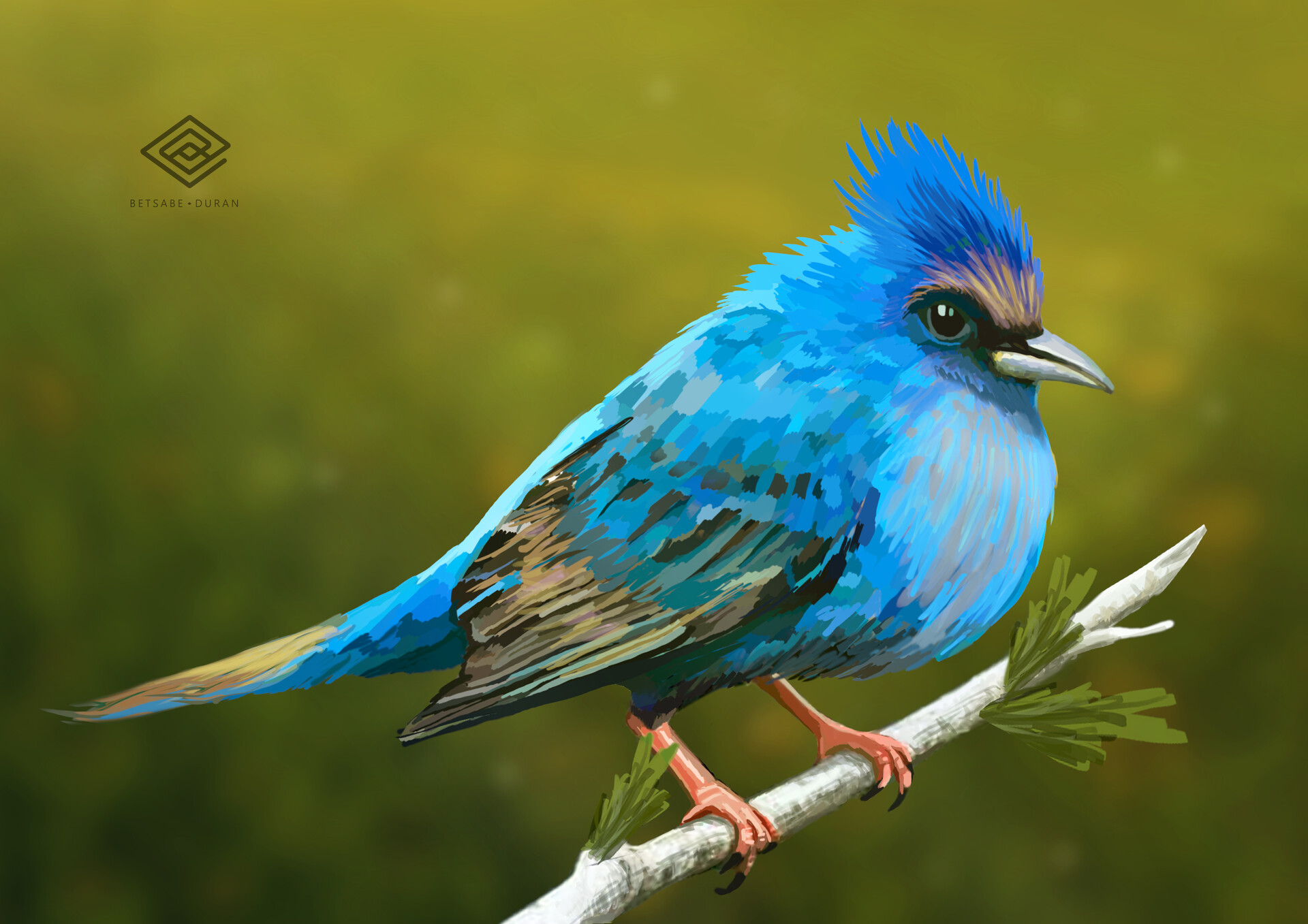 ArtStation - Bird Concept Design