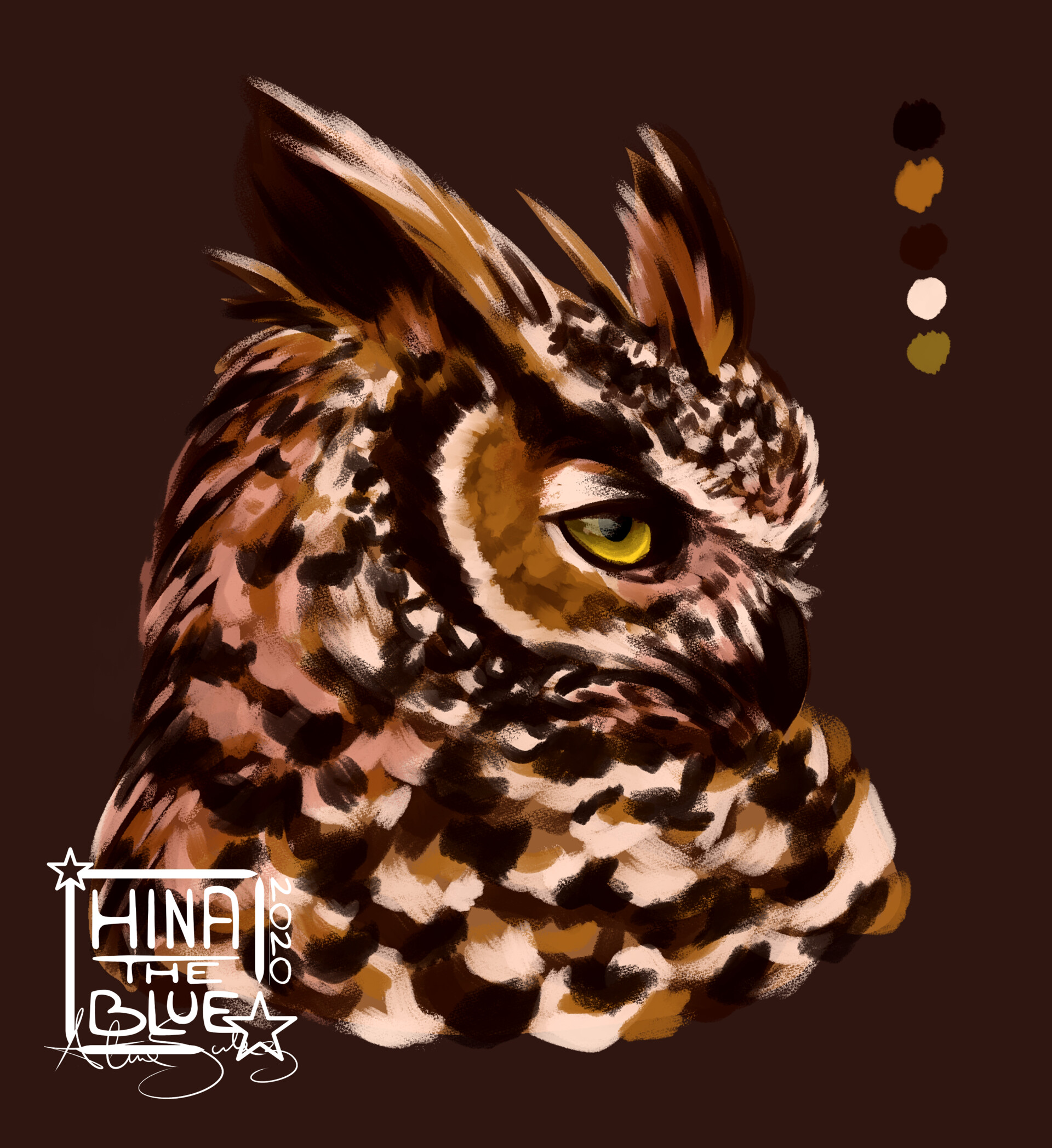 ArtStation - Owl Study