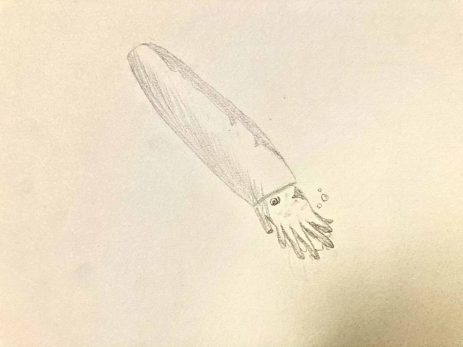 ArtStation - Sphooceras