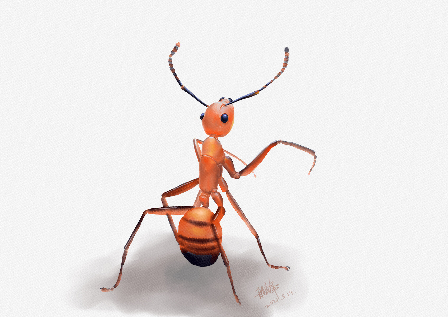 ArtStation - Ant