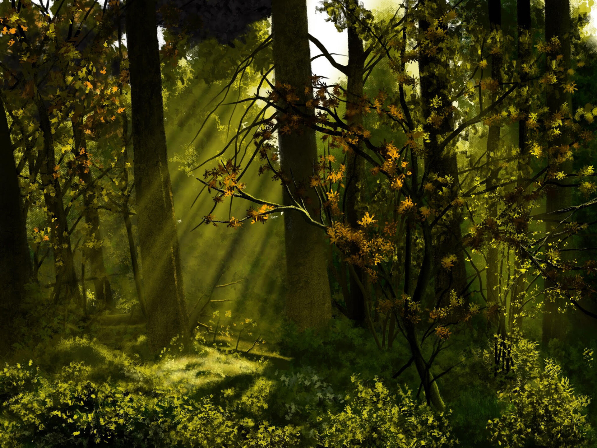 ArtStation - Forest (timelapse video)