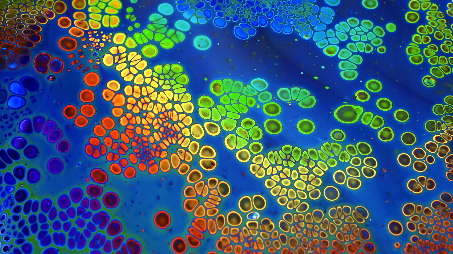 Fiona Art - RAINBOW in a cup ~ FLIP CUP acrylic pour painting ~ Fluid ...