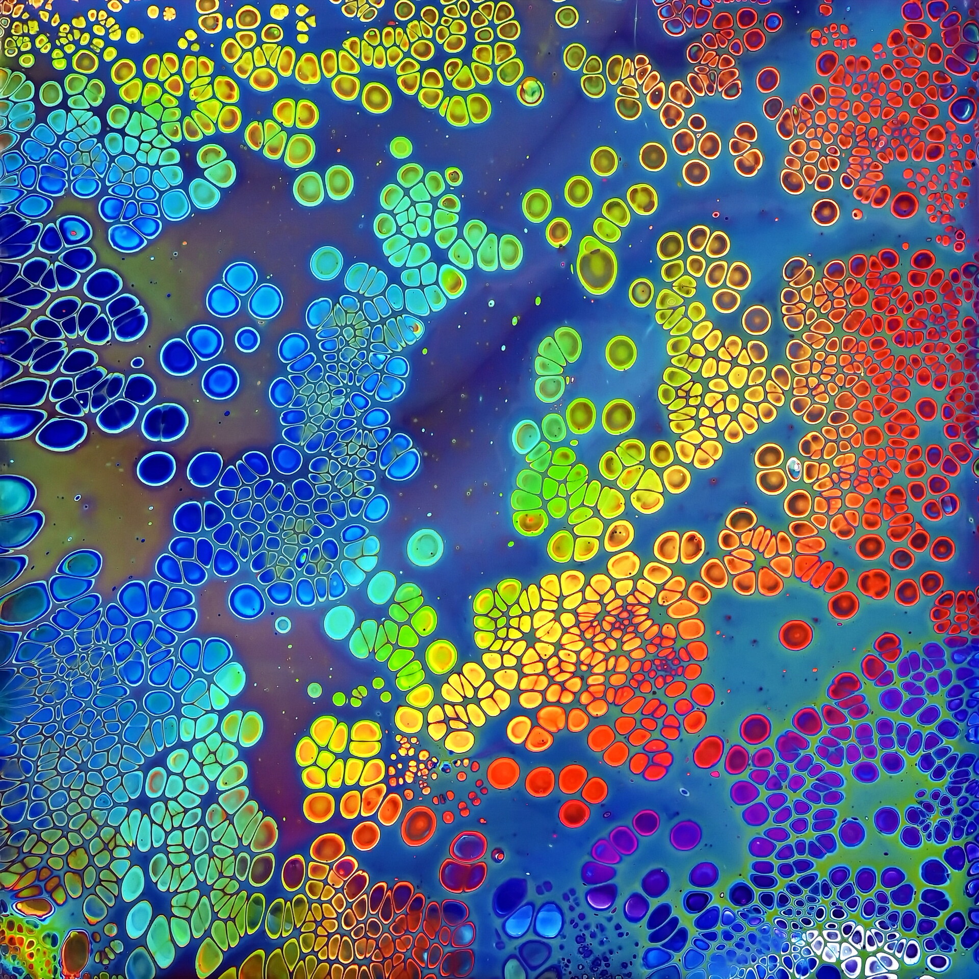 Fiona Art - RAINBOW in a cup ~ FLIP CUP acrylic pour painting ~ Fluid ...