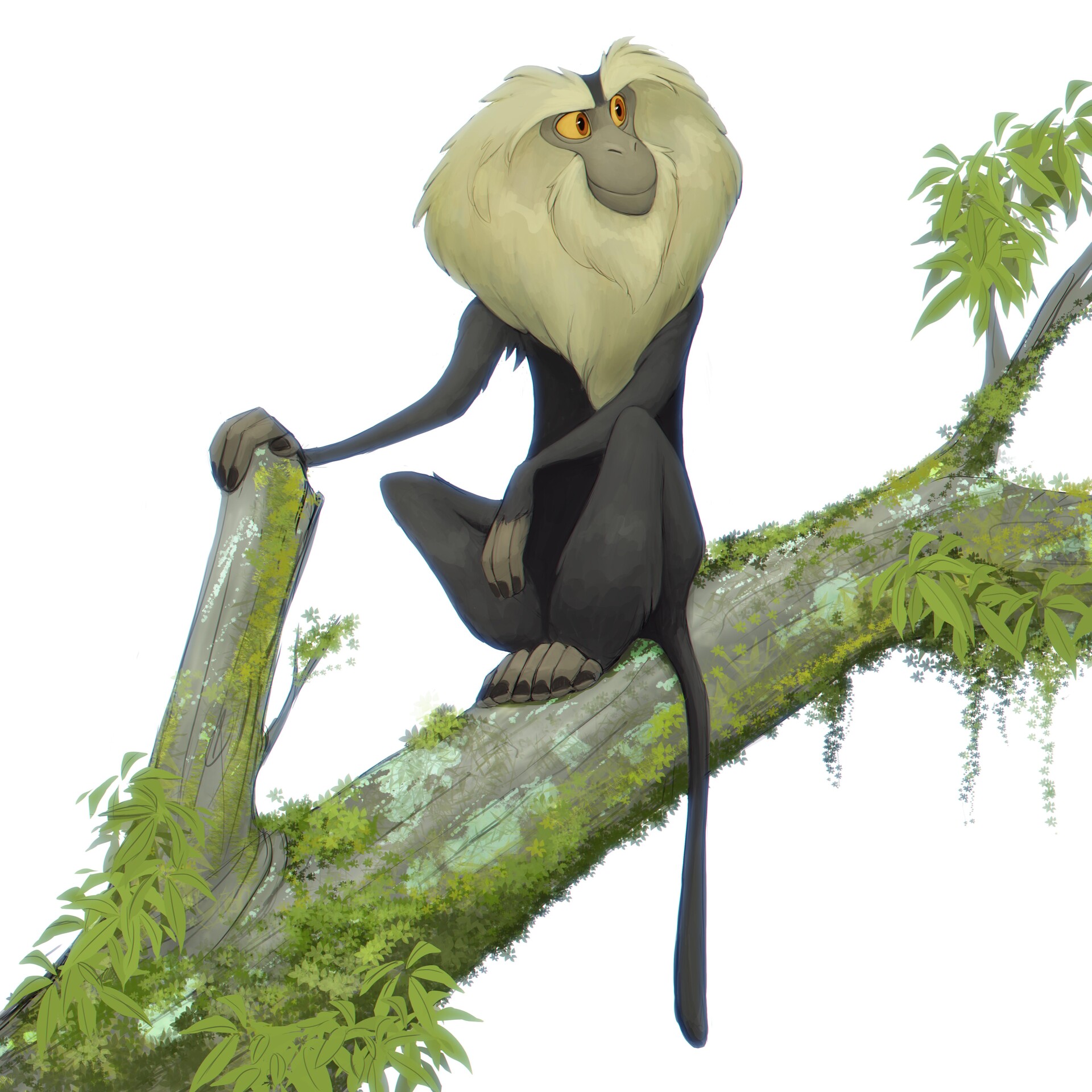 how to draw a lion tailed macaque