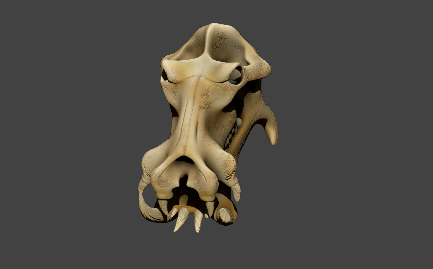 Remy Turner-Broadhead - Hippo Skull Sculpt