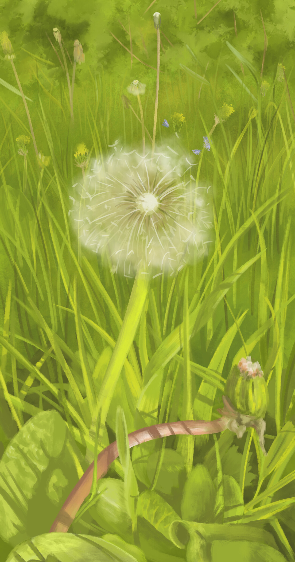 ArtStation - Dandelion Study