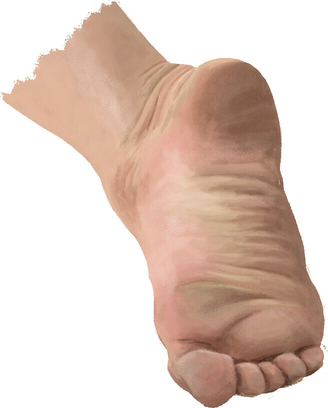 ArtStation - Foot Study