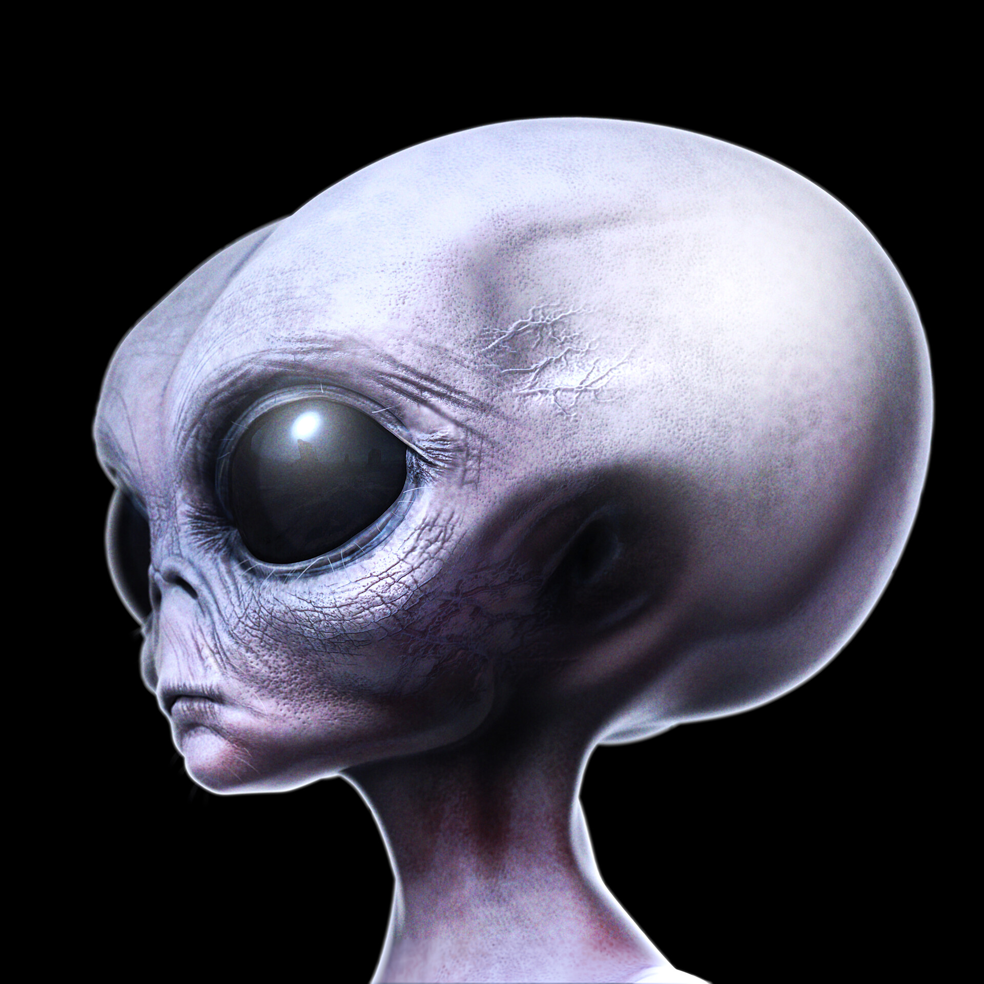 Leo Blanchette - Grey Alien